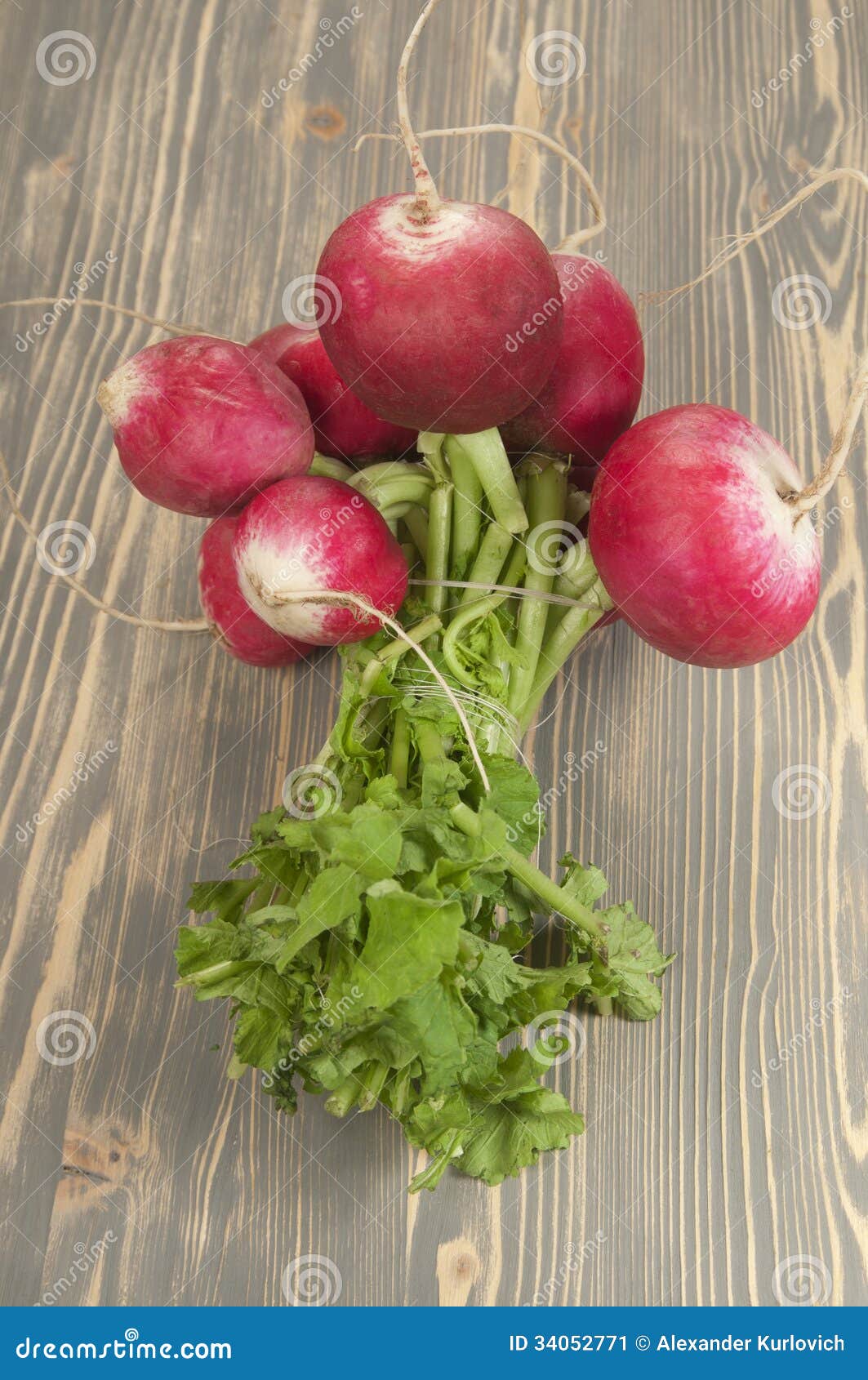 Bunch of radish stock image. Image of vegetable, healthy - 34052771
