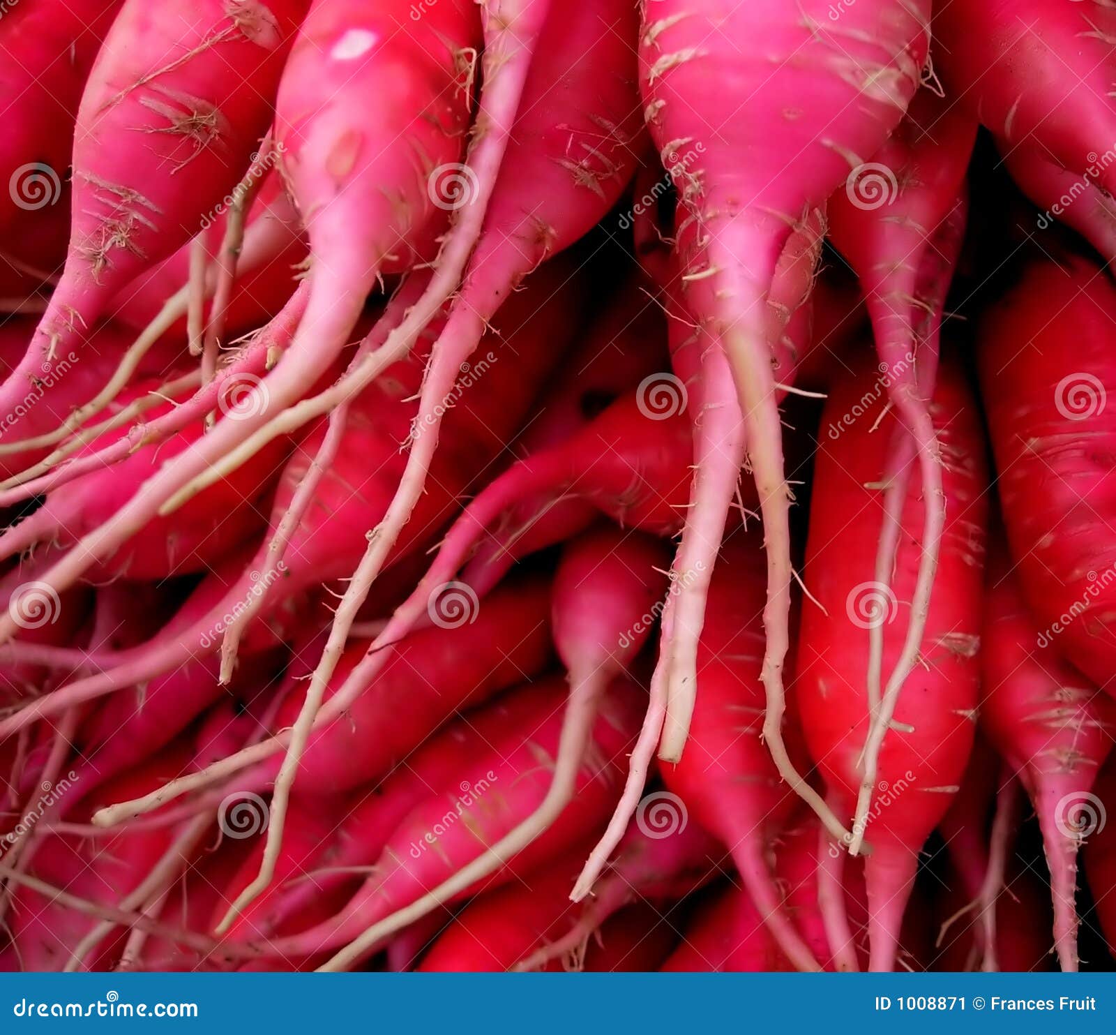 Bunch of radishes. stock image. Image of radish, vegetable - 1008871