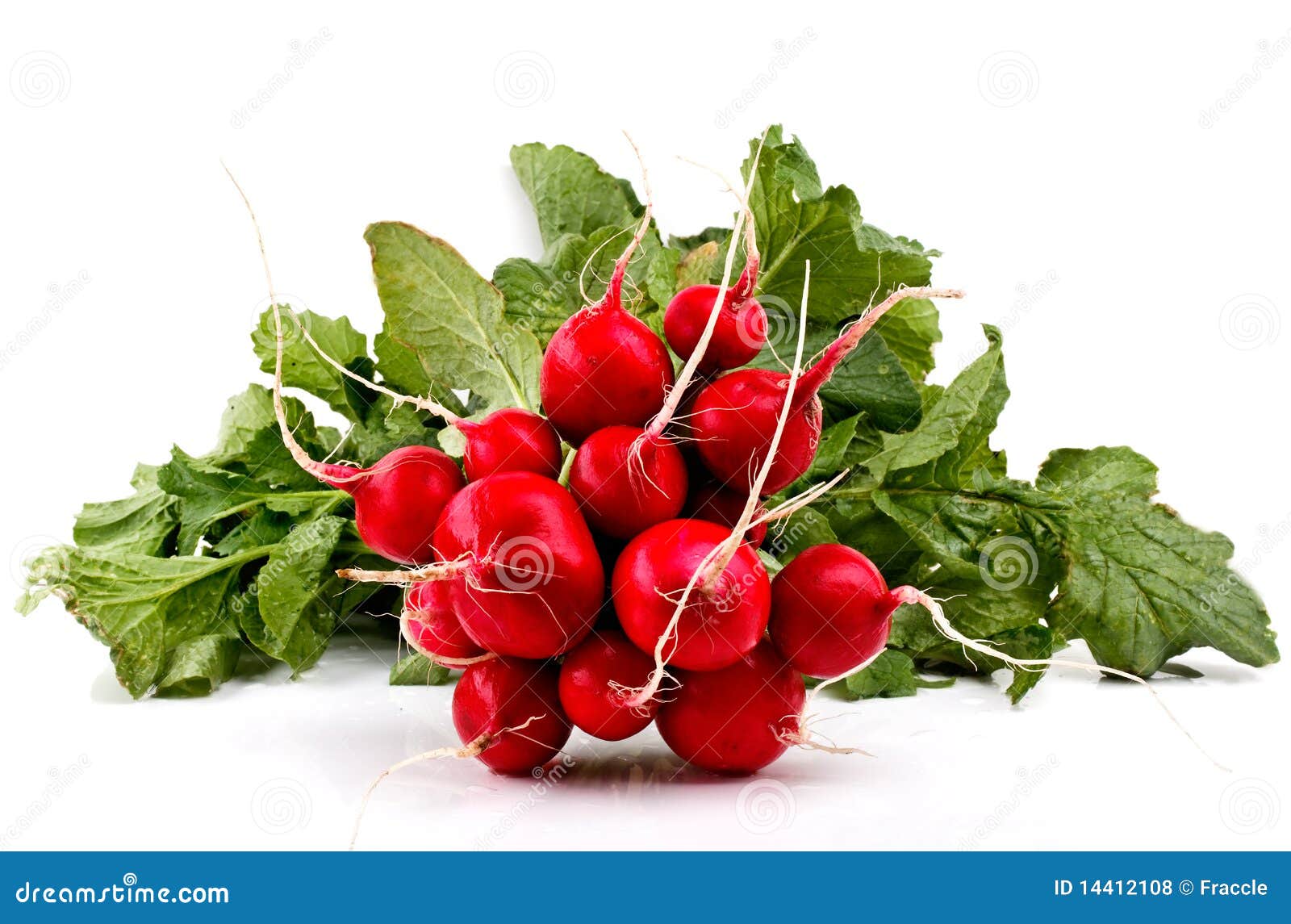 Bunch of Radishes stock photo. Image of root, vegetable - 14412108