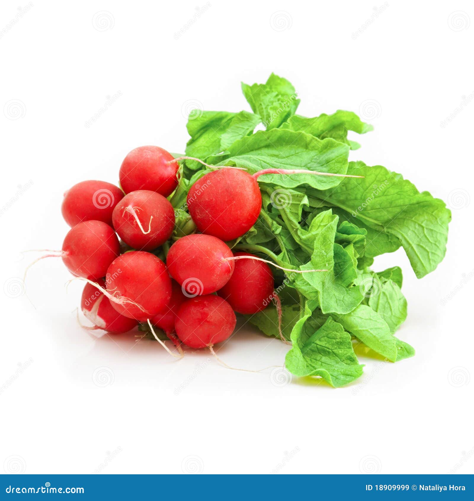 Bunch of radishes stock image. Image of cooking, green - 18909999