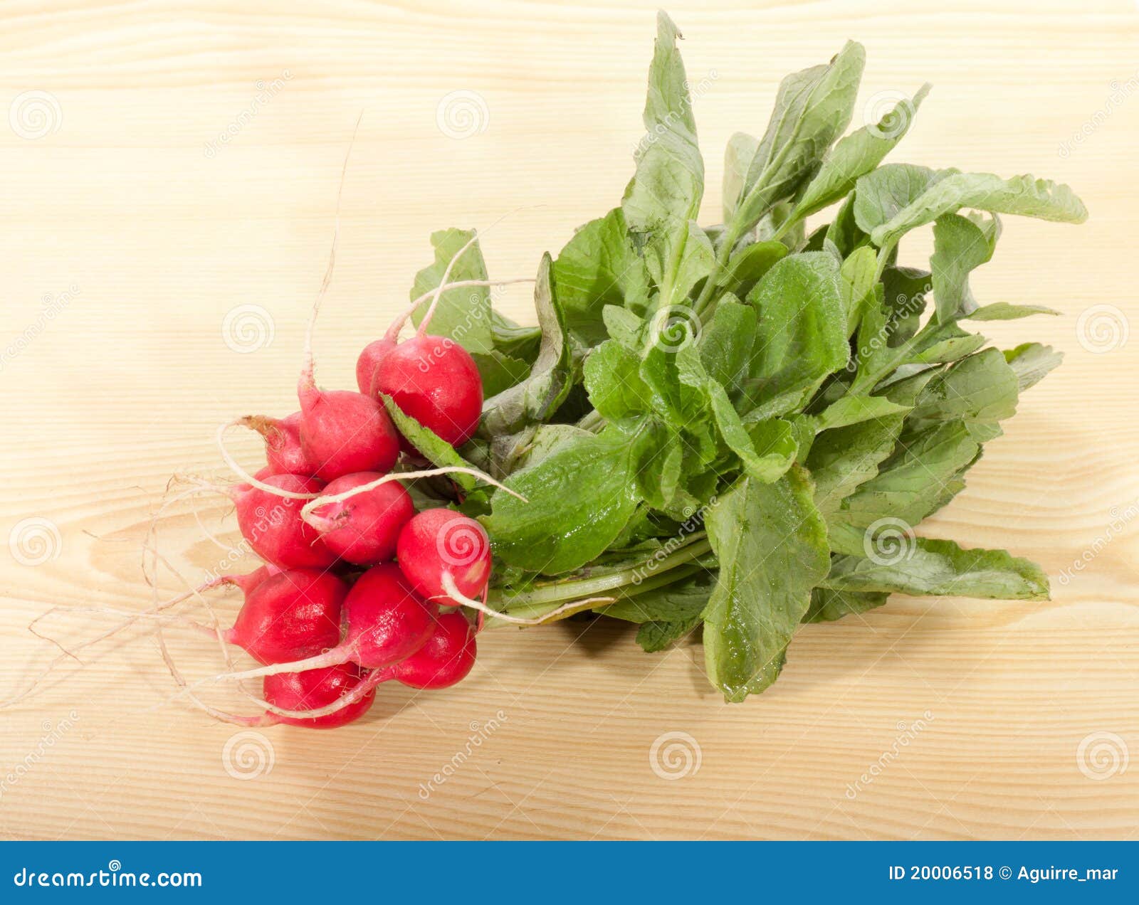 Bunch of radishes stock photo. Image of wood, garden - 20006518