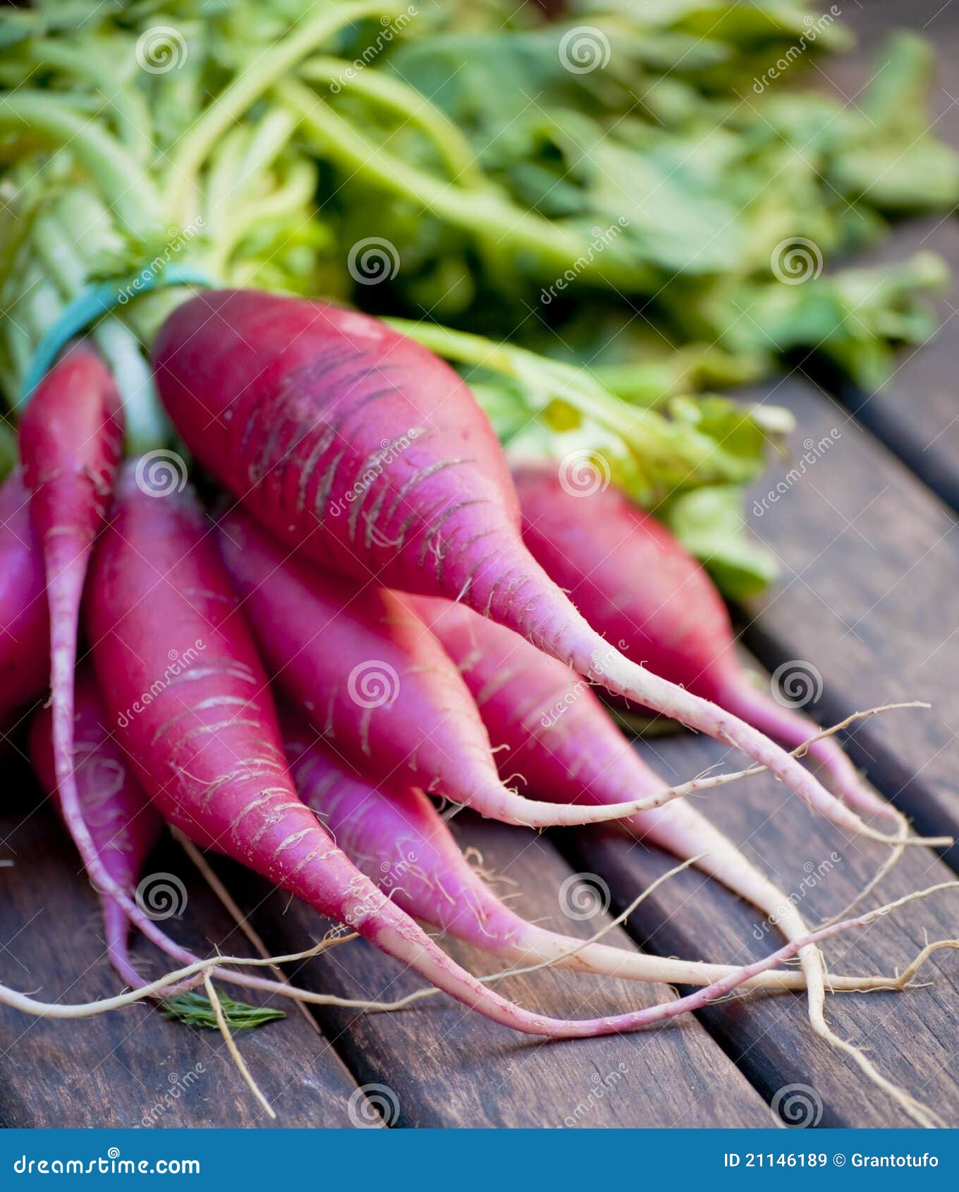 Bunch of radishes stock image. Image of health, vegetable - 21146189