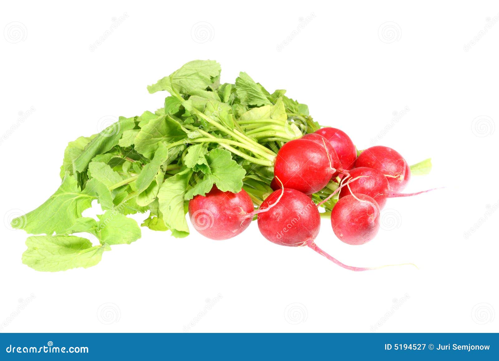 Bunch of radishes. stock image. Image of leaves, agriculture - 5194527