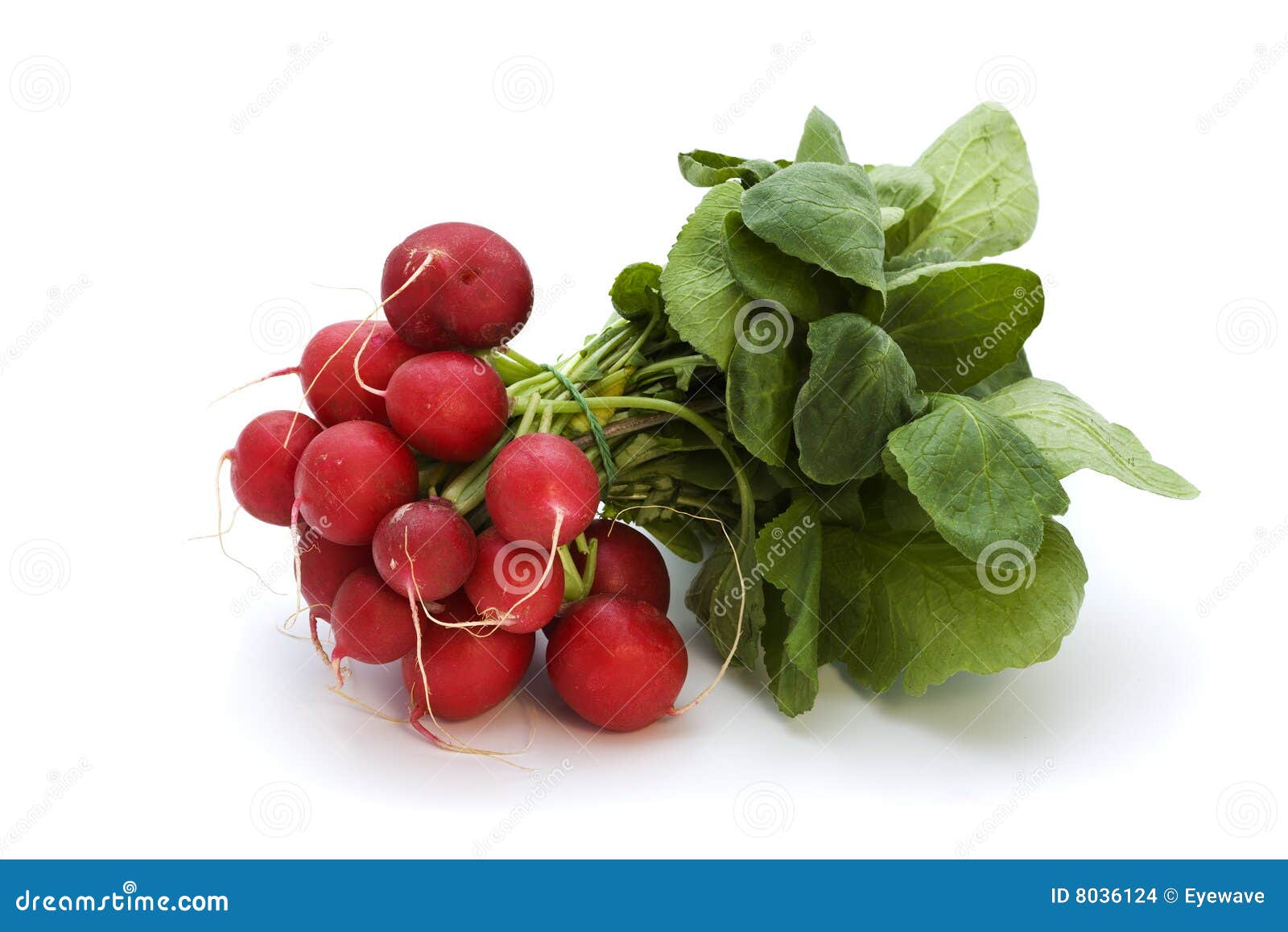 Bunch of Radishes with Stalks Stock Photo - Image of vegetables ...