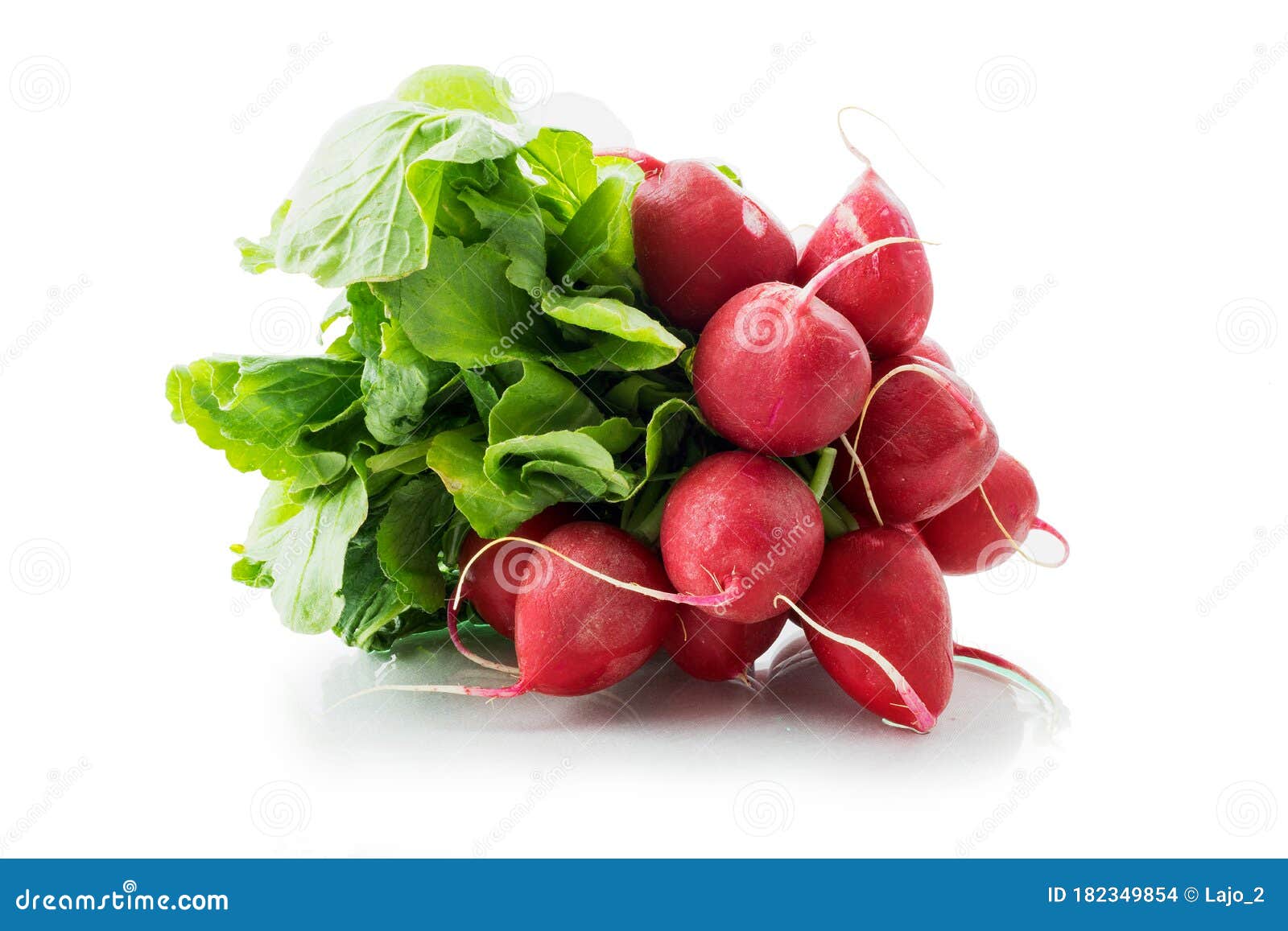 Bunch of radishes stock photo. Image of diet, nutrition - 182349854