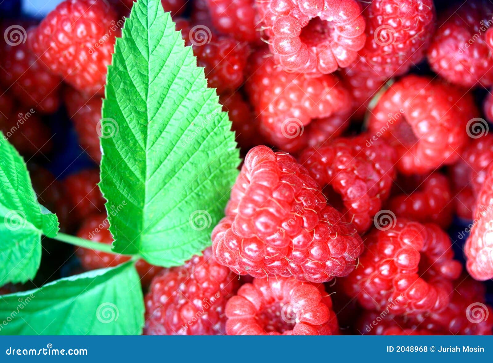 Bunch of Raspberries in a Punnet Stock Photo - Image of luxury, fast ...