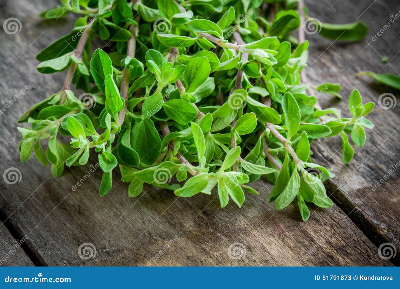 Bunch of Raw Green Herb Marjoram on a Wooden Table Stock Image - Image ...