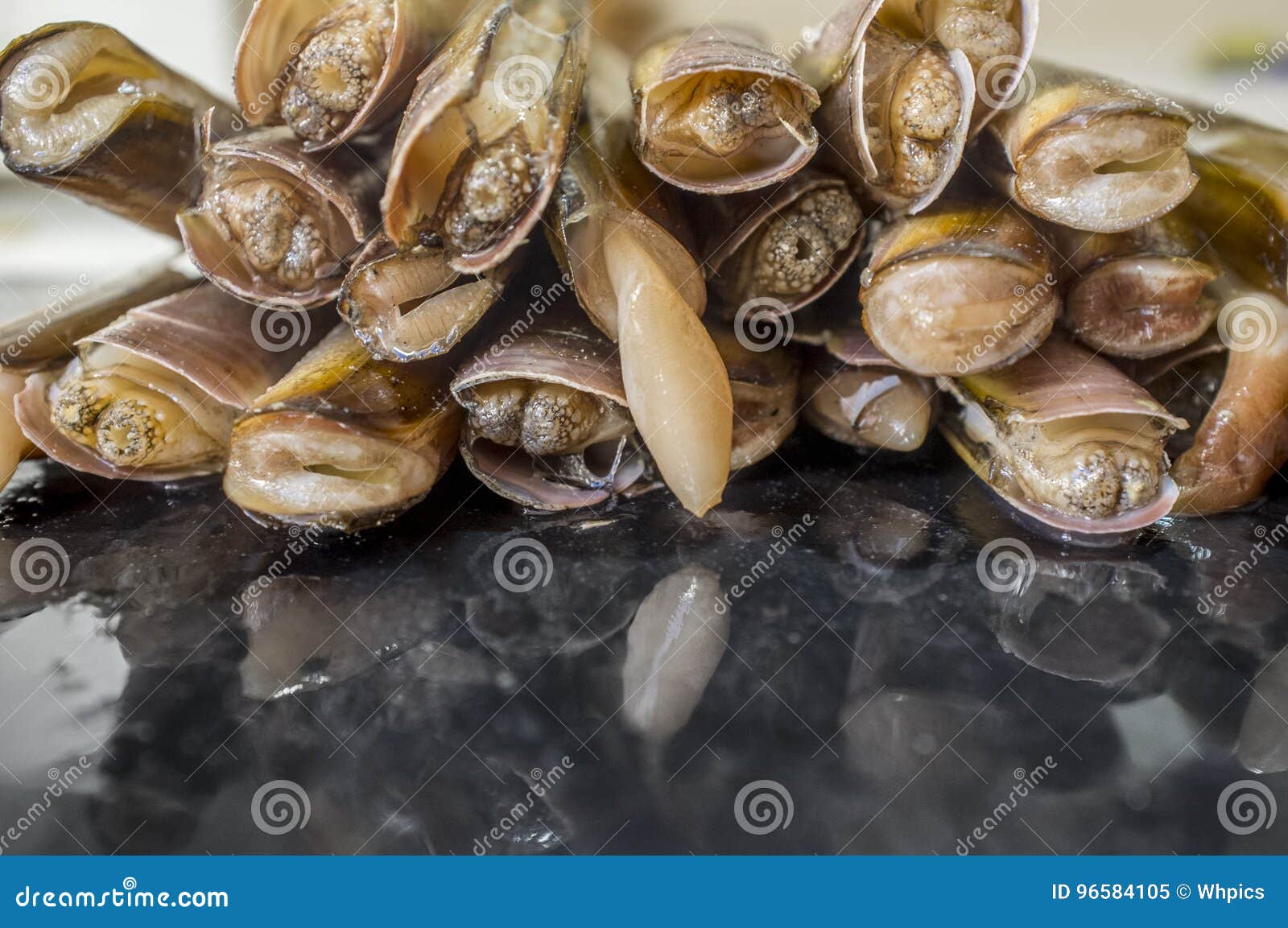 Bunch of Razor Clams in Their Shell Stock Image - Image of package ...
