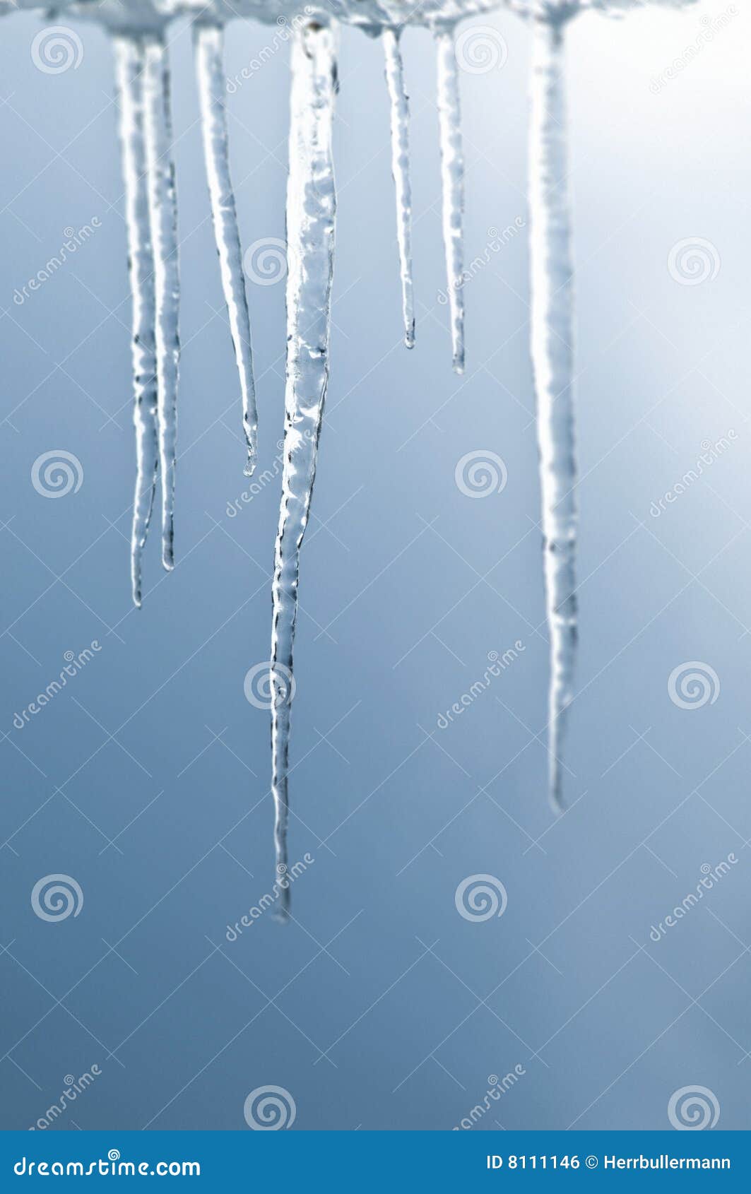 Bunch of Real Icicle in Close Focus Stock Photo - Image of crystal ...