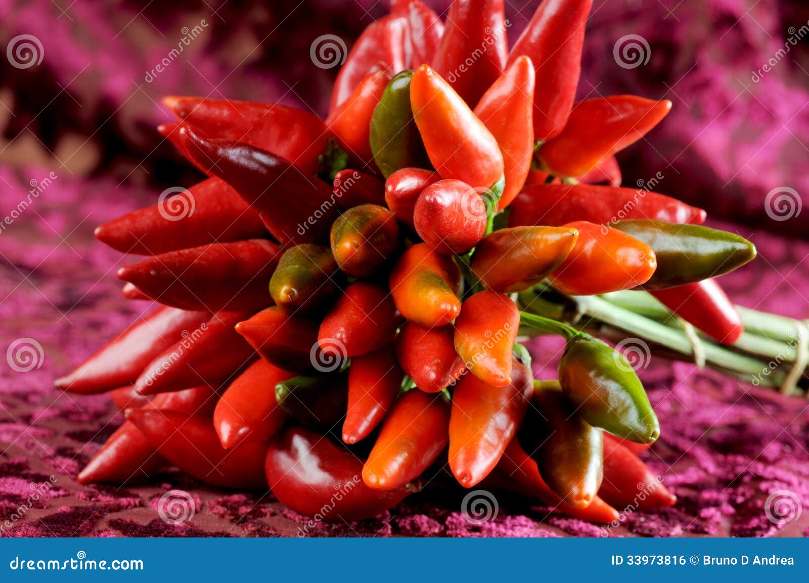 Bunch of Red chili stock photo. Image of vegetable, condiment - 33973816