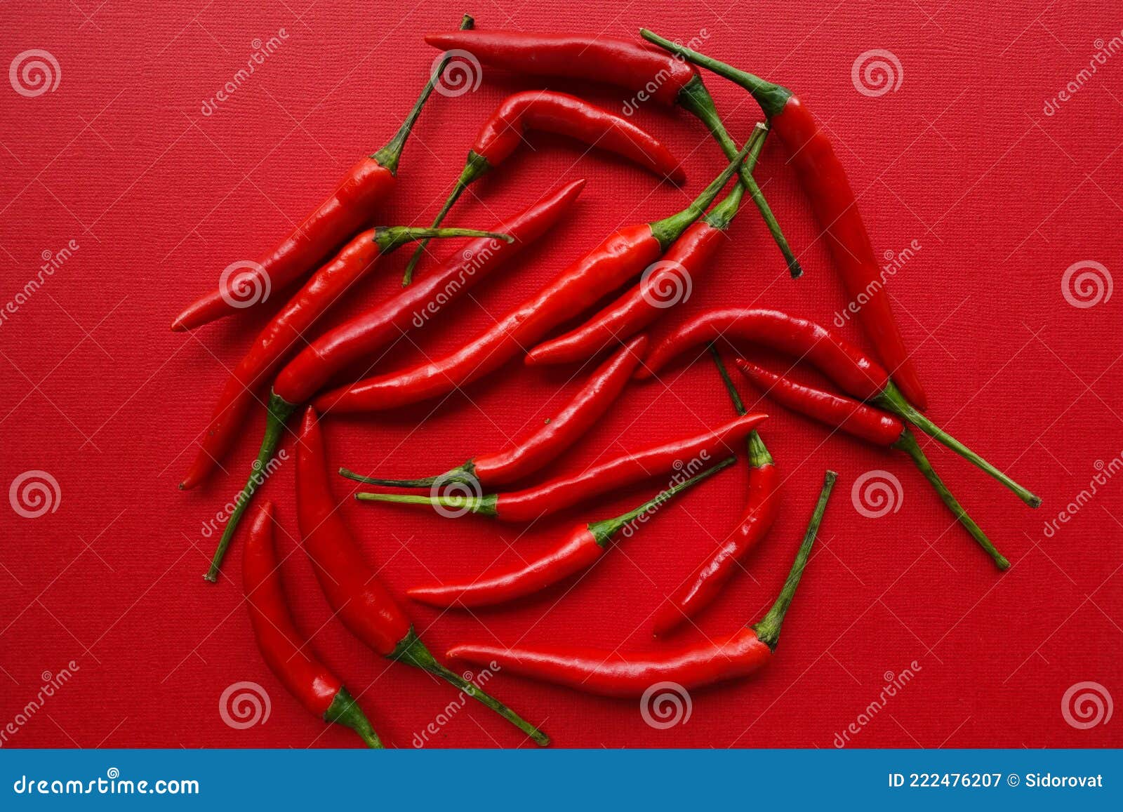 Bunch of Red Chili Pepper Pods on Red . Top View Stock Image - Image of ...