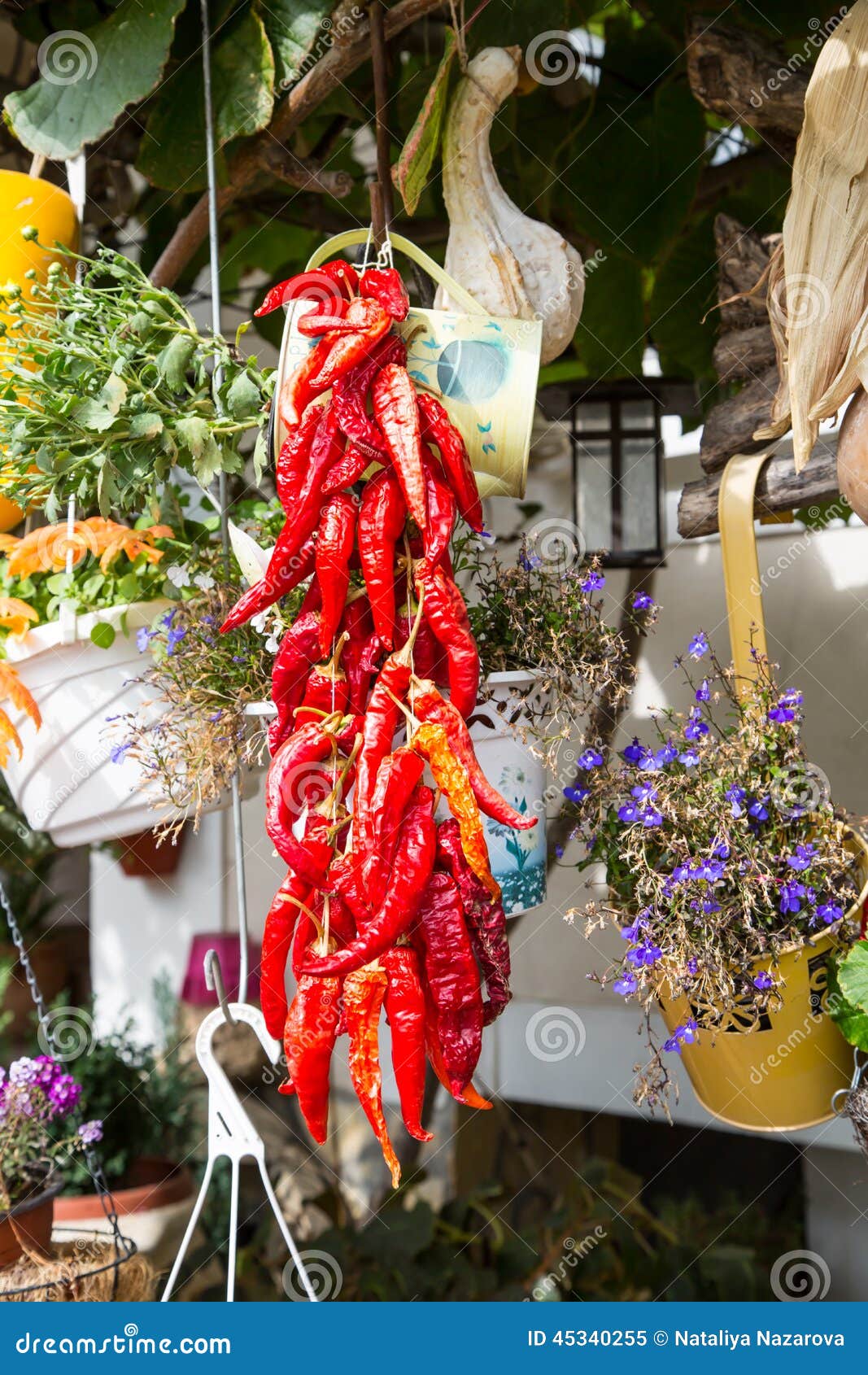 Bunch of red chili peppers stock image. Image of bunch - 45340255