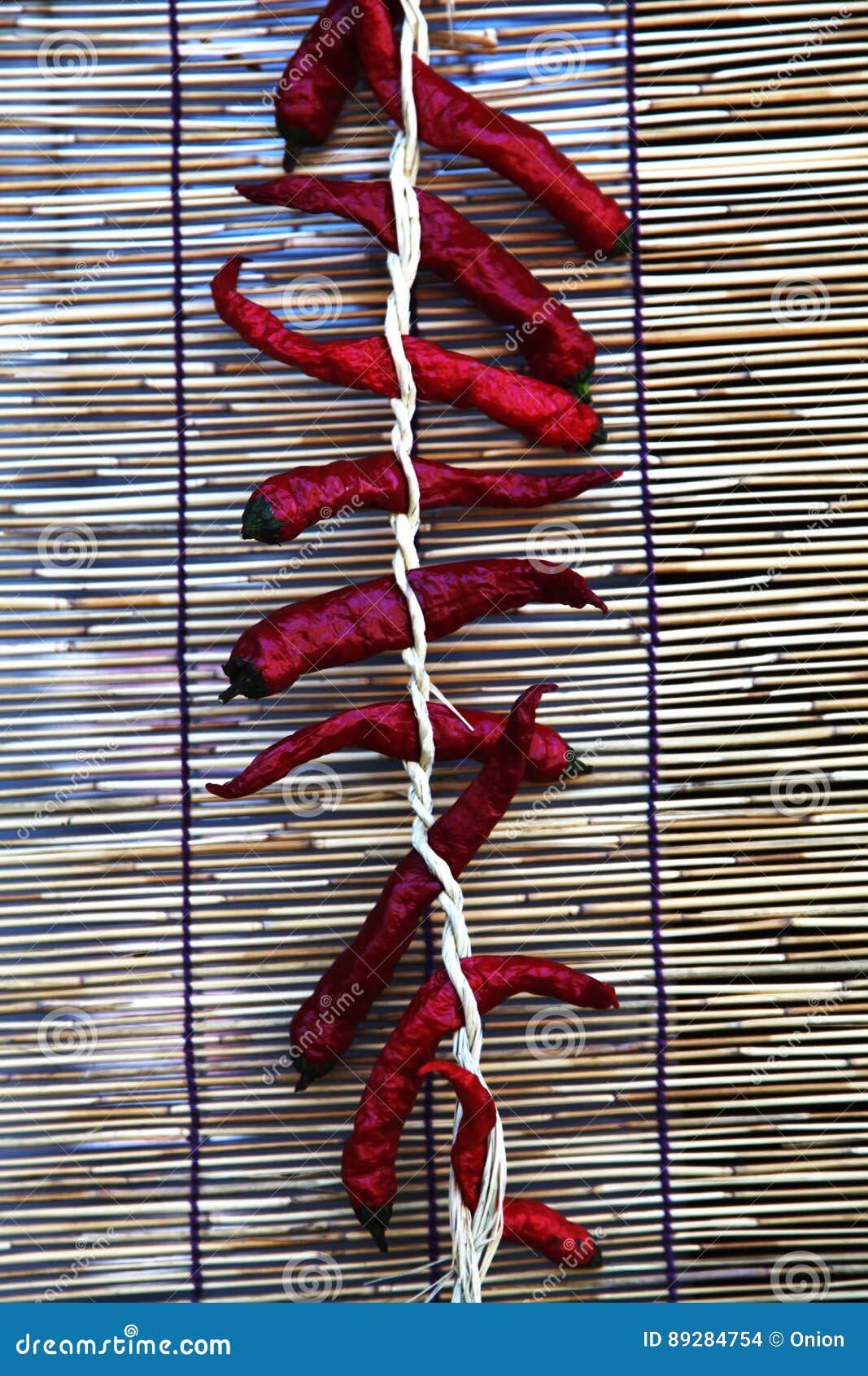 Red Chillies Drying on a String Stock Photo - Image of bunch, dried ...
