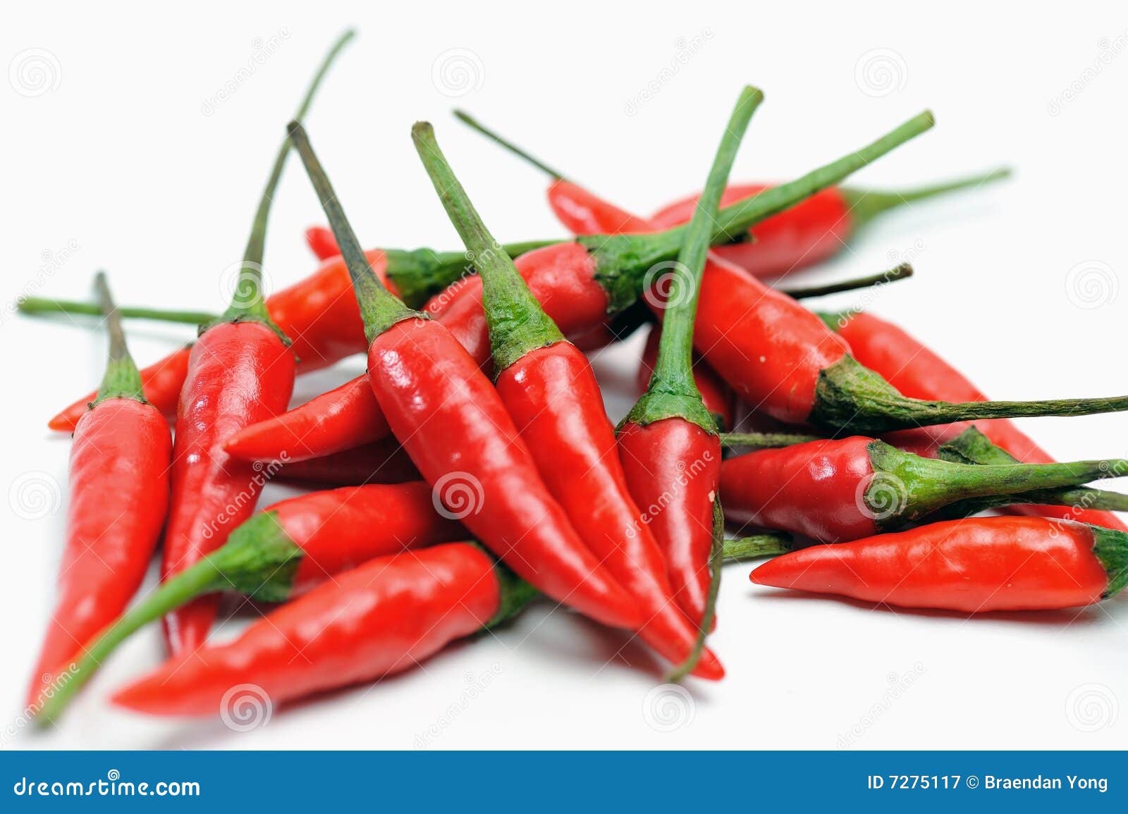 Bunch of Red chillies II stock image. Image of china, motion - 7275117
