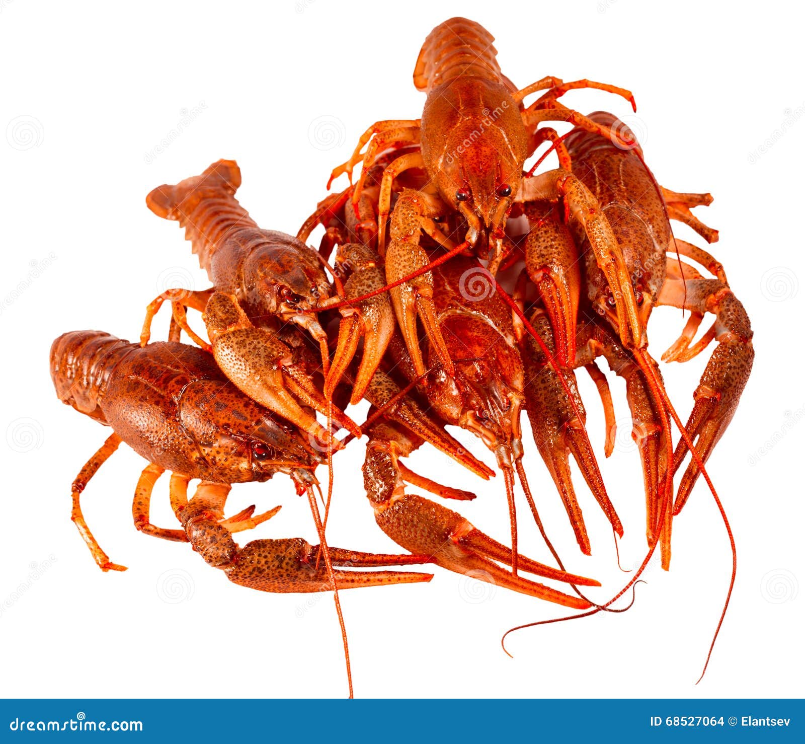 Bunch of Red Cooked Crayfish Stock Photo - Image of cook, closeup: 68527064