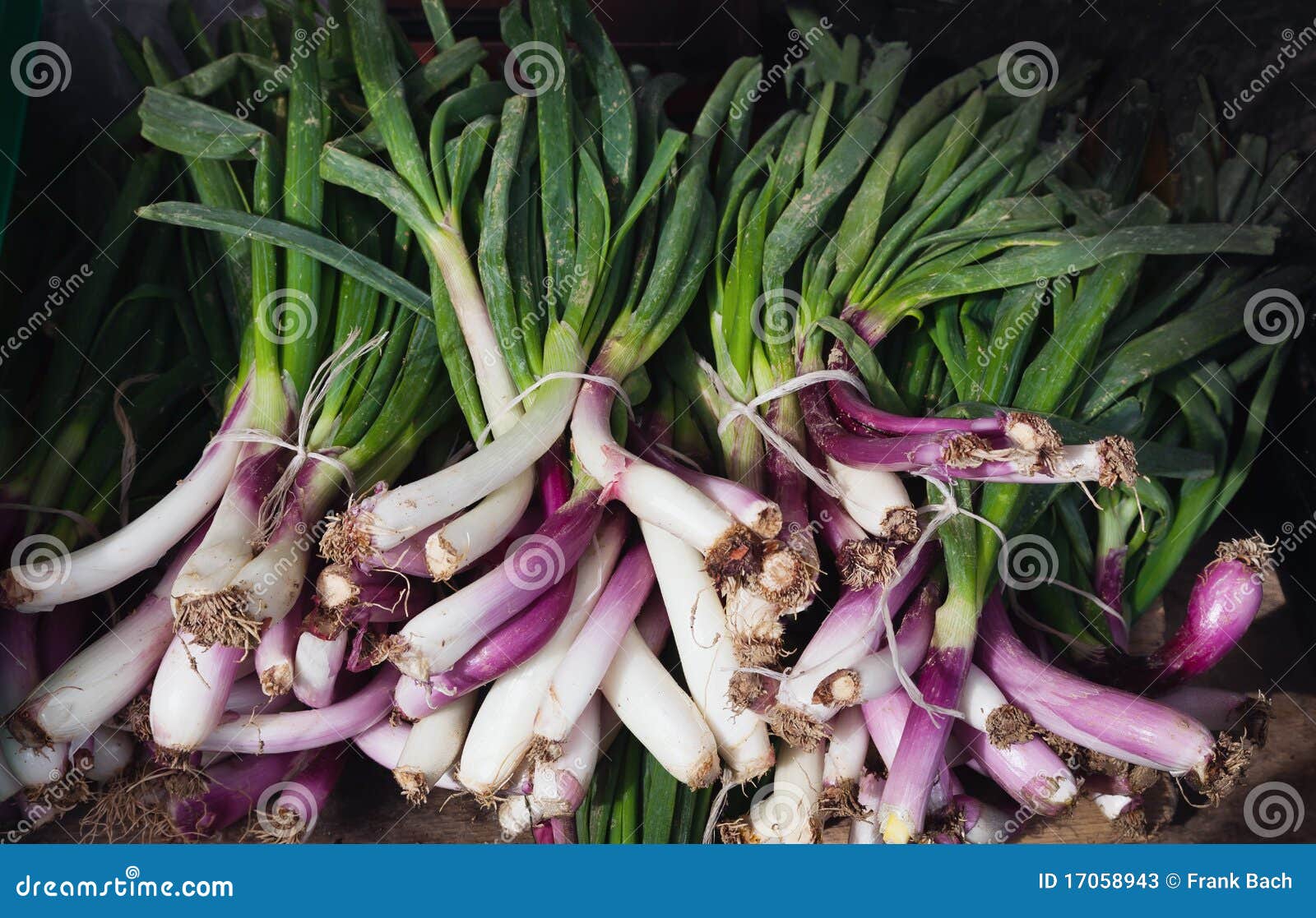 Bunch of red fresh onions stock image. Image of pungent - 17058943
