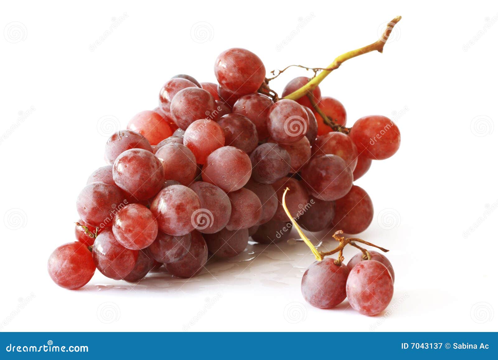 Bunch of red grape stock image. Image of vine, healthy - 7043137