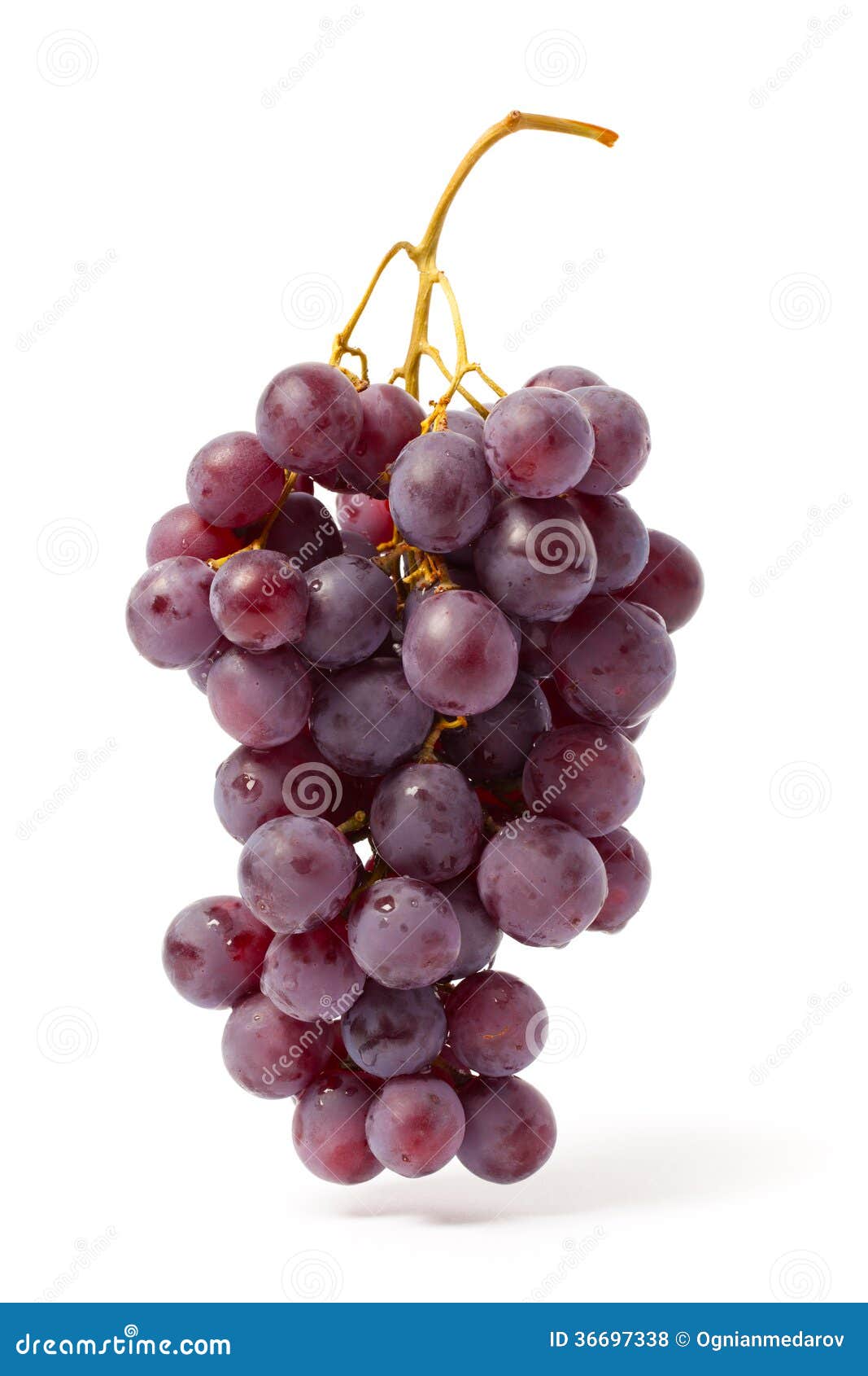 Bunch of Red Grape stock photo. Image of eating, fruit - 36697338