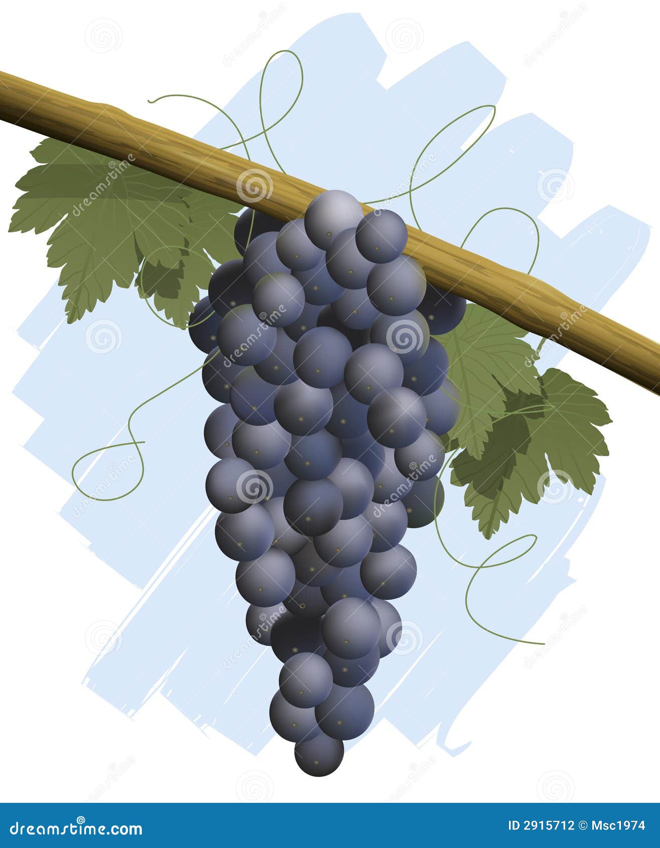 Bunch of red grapes stock vector. Illustration of leaf - 2915712