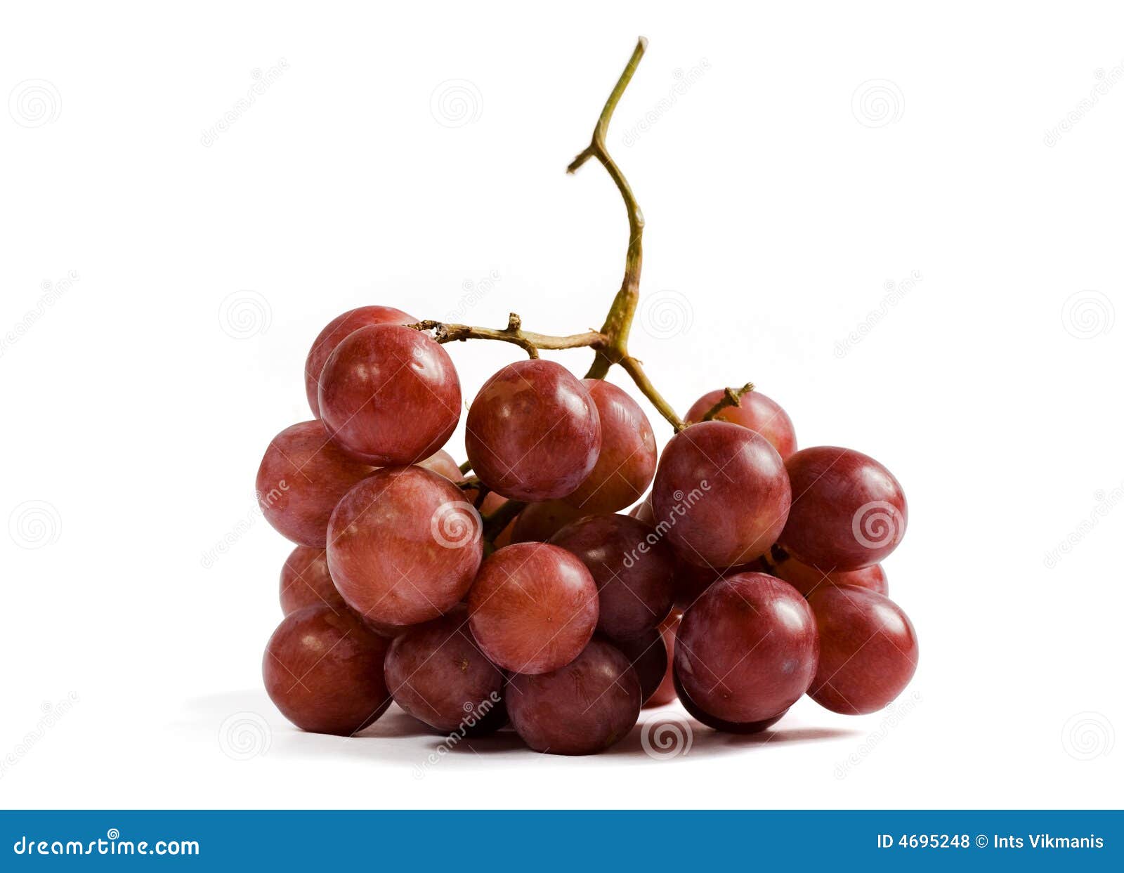 Bunch of red grapes stock photo. Image of ripe, nutrition - 4695248