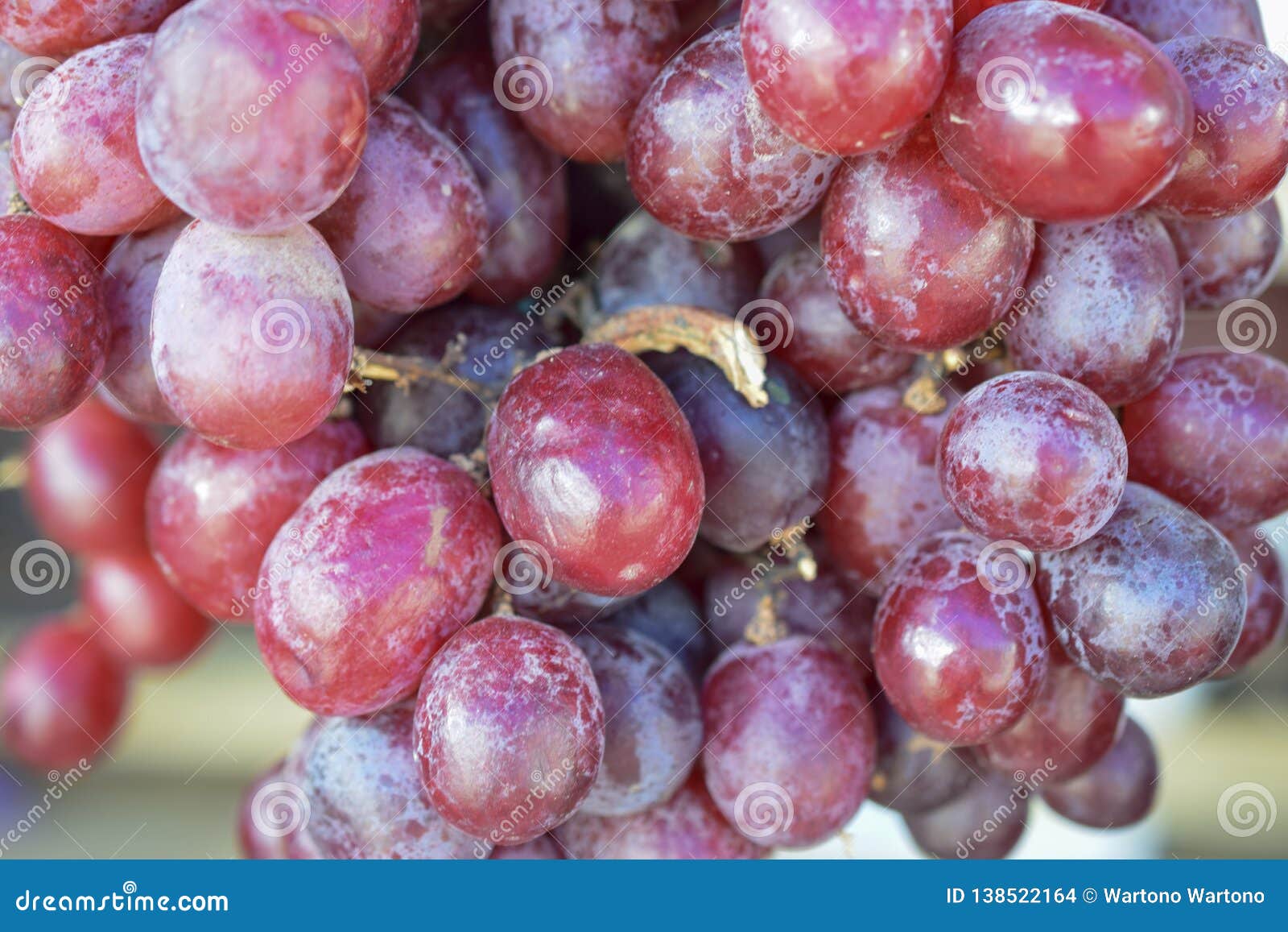 Bunch of red grapes stock photo. Image of grape, grapes - 138522164