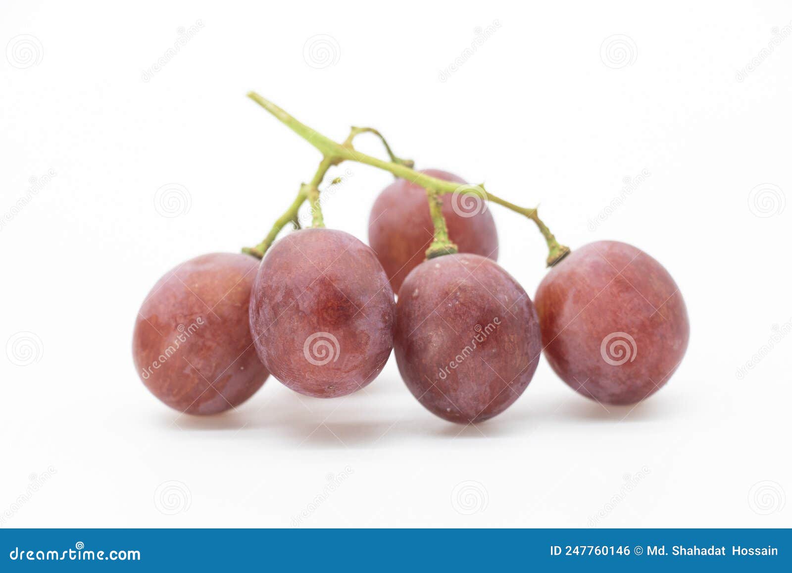 Bunch of Red Grapes Isolated on Background Stock Photo - Image of ...