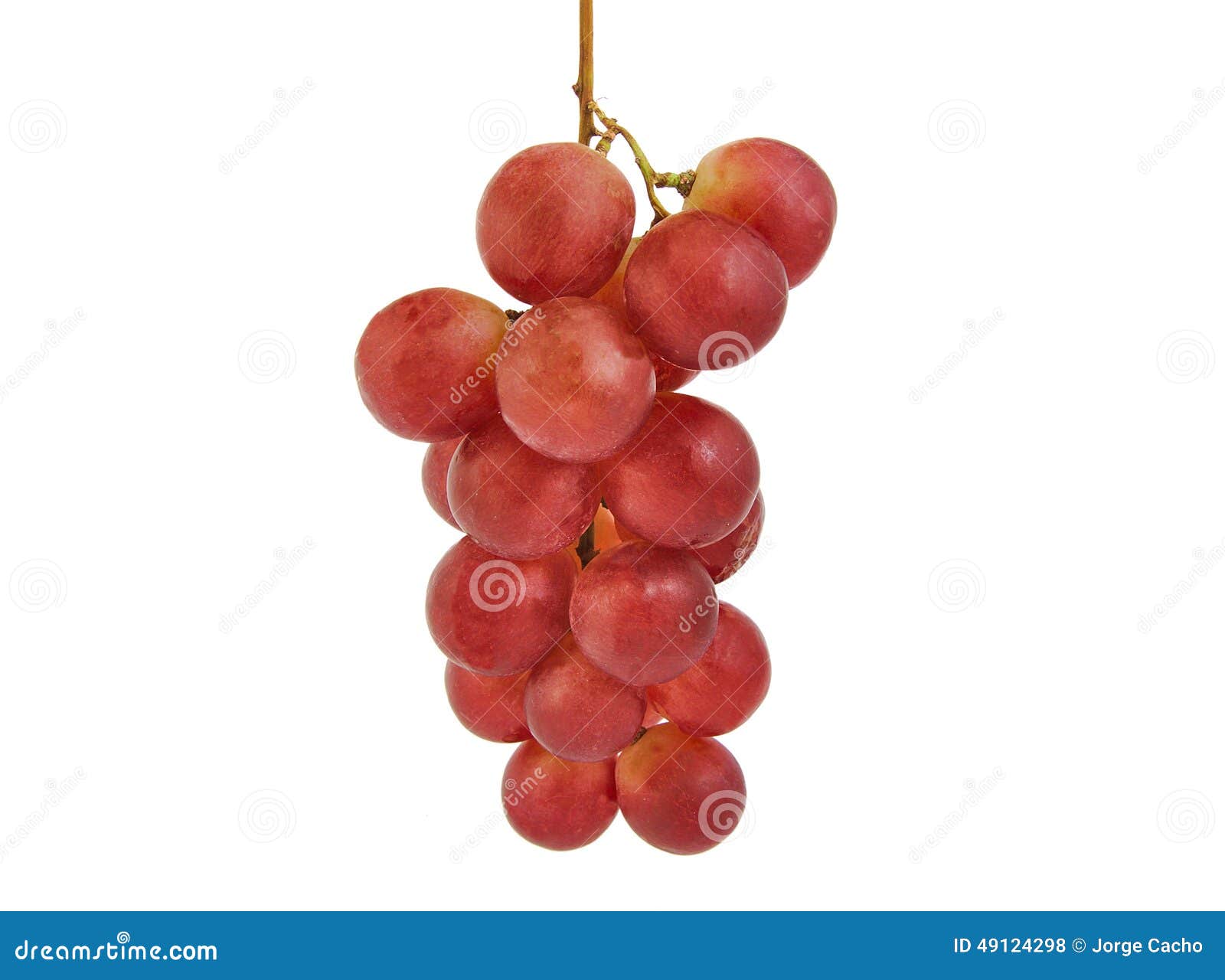 Bunch of Red Grapes Isolated on White. Stock Photo - Image of food ...