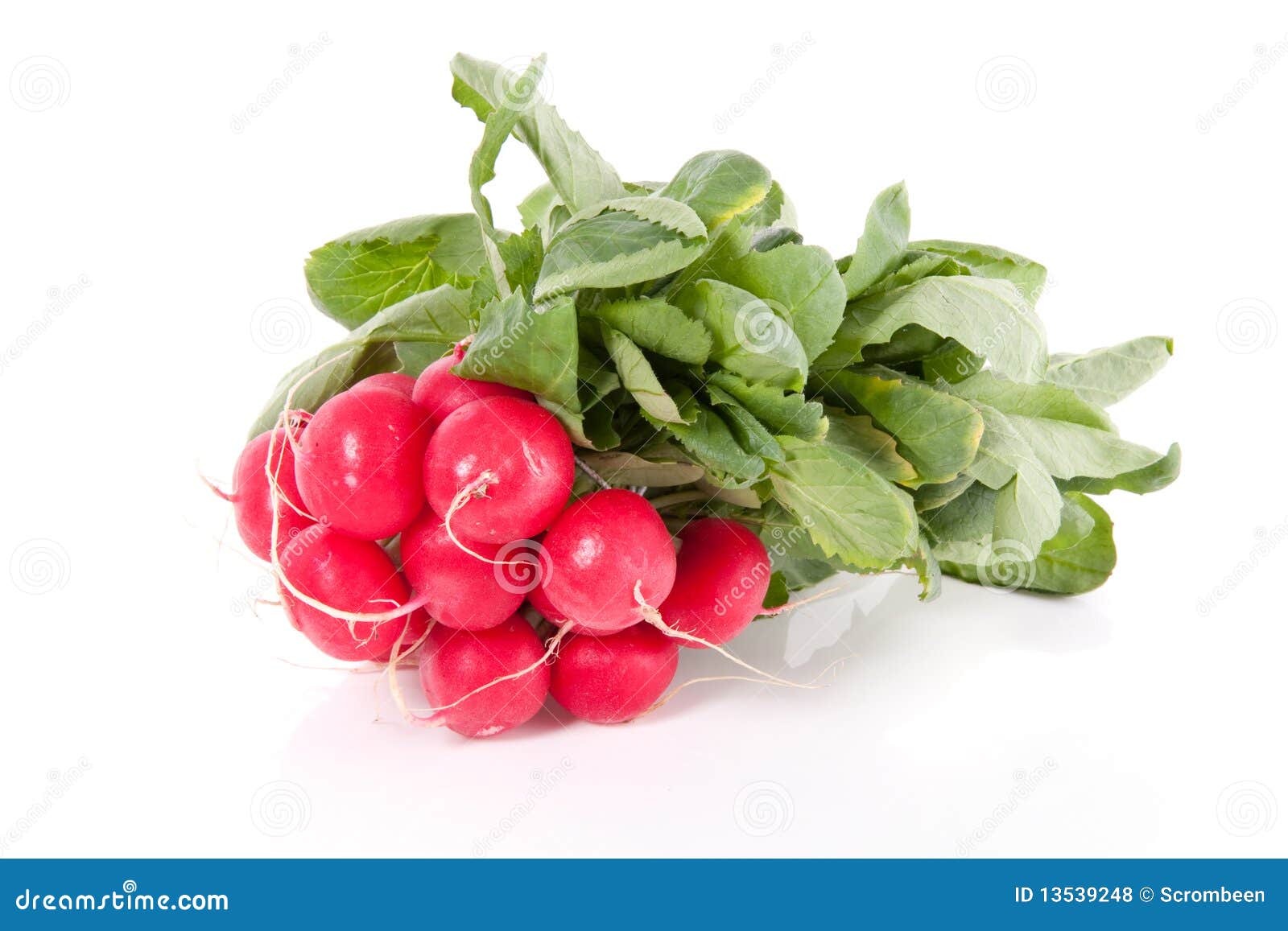 A Bunch of Red Healthy Radish Stock Photo - Image of plant, green: 13539248