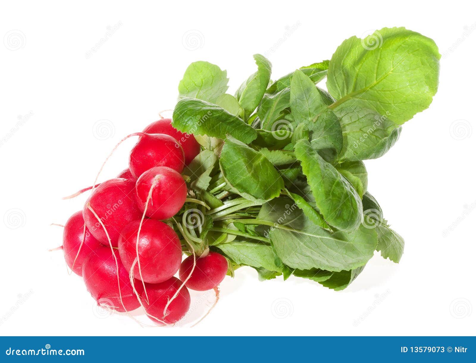 Bunch of red radish stock image. Image of organic, snack - 13579073