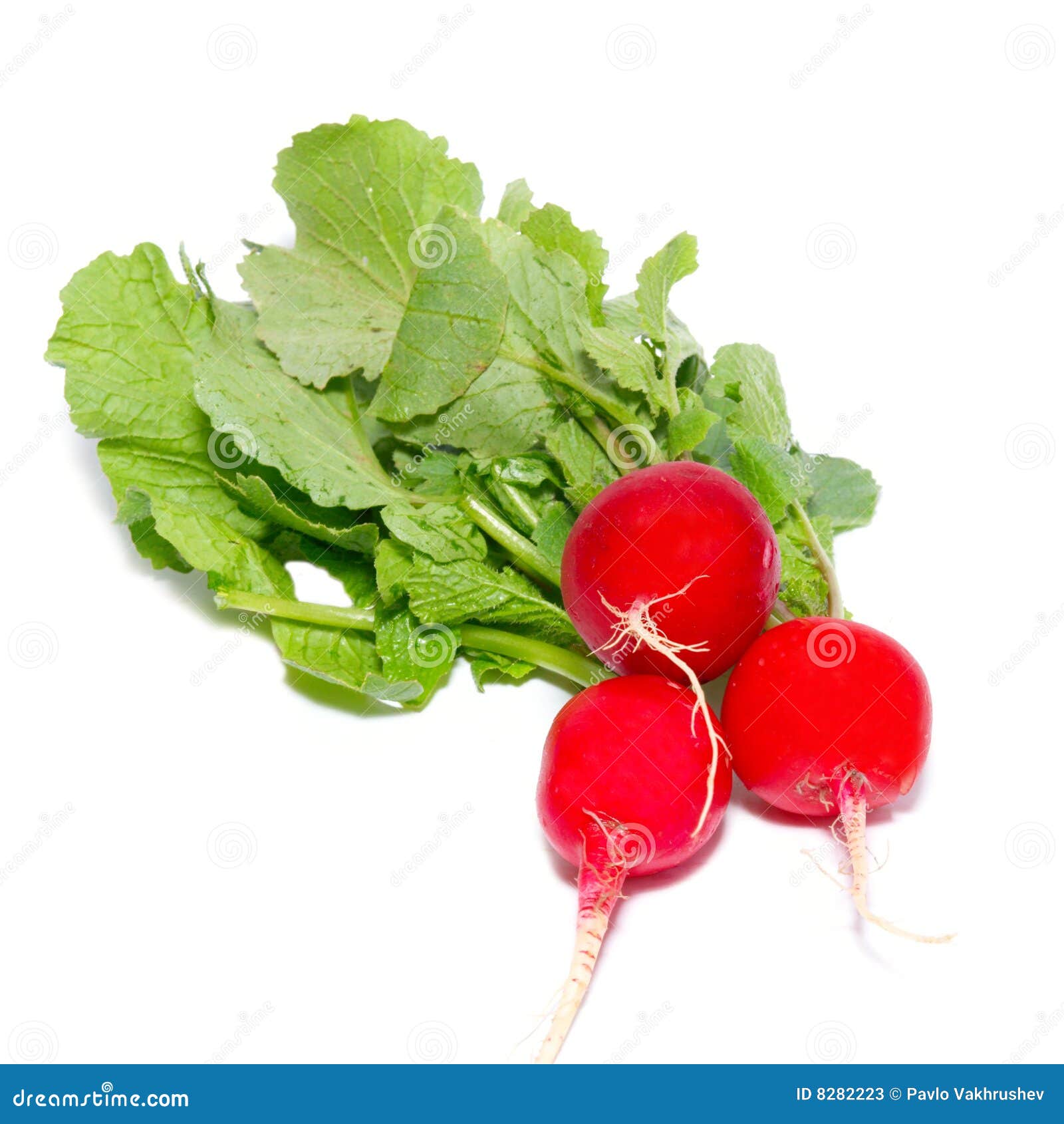Bunch of red radish stock image. Image of root, green - 8282223