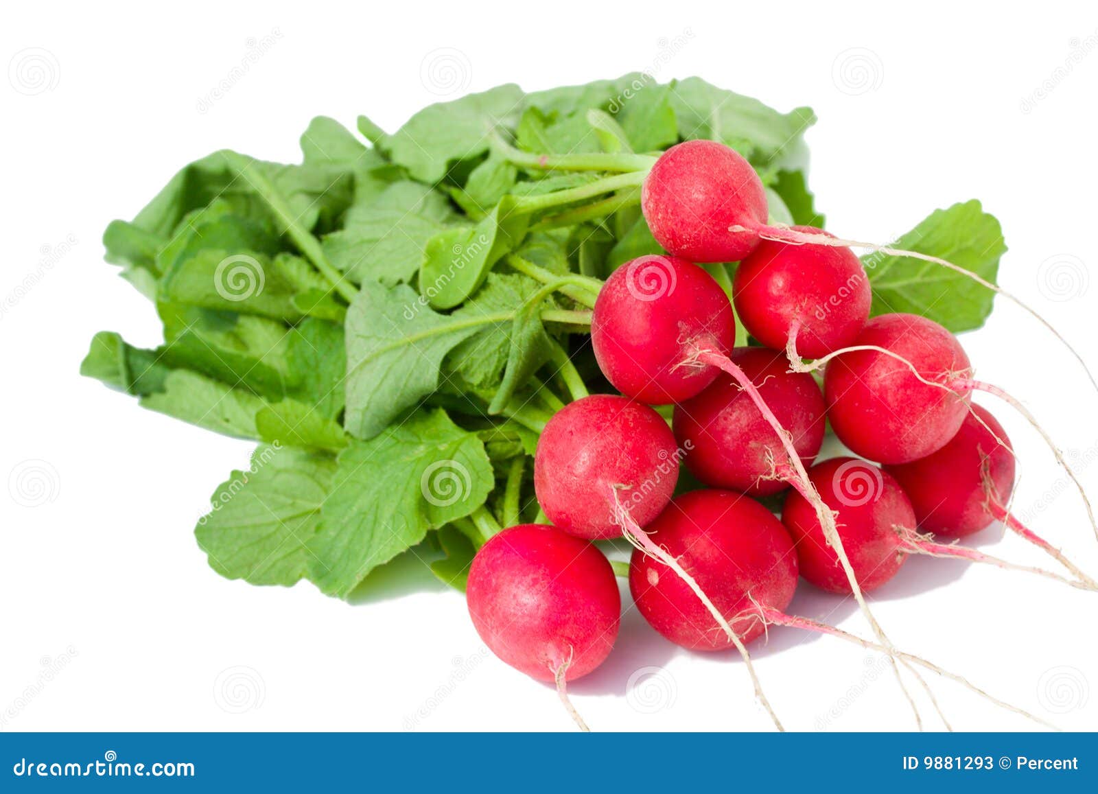 Bunch of red radish stock image. Image of food, fresh - 9881293