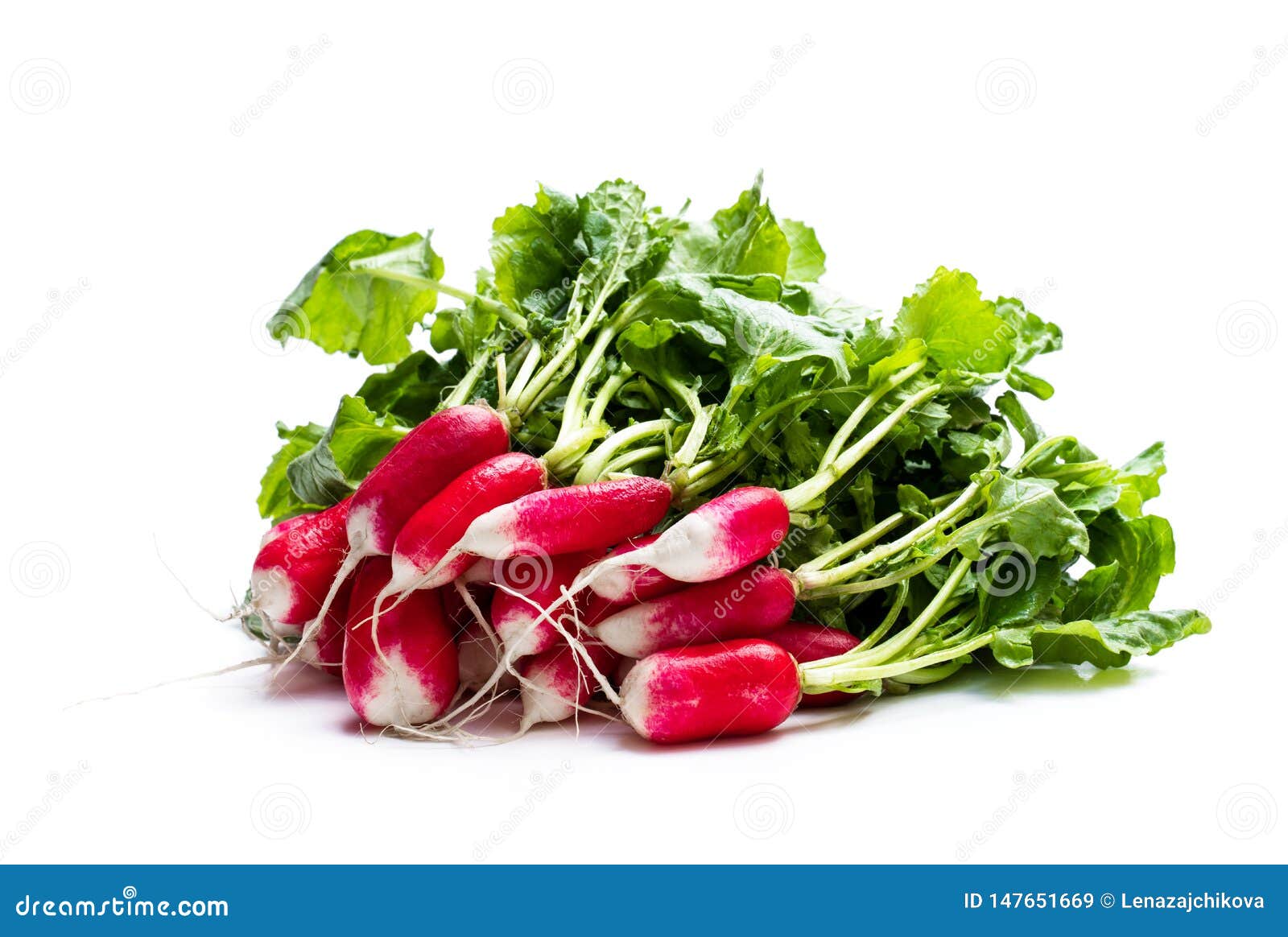 Bunch of Red Radish Isolated on White Stock Image - Image of ...