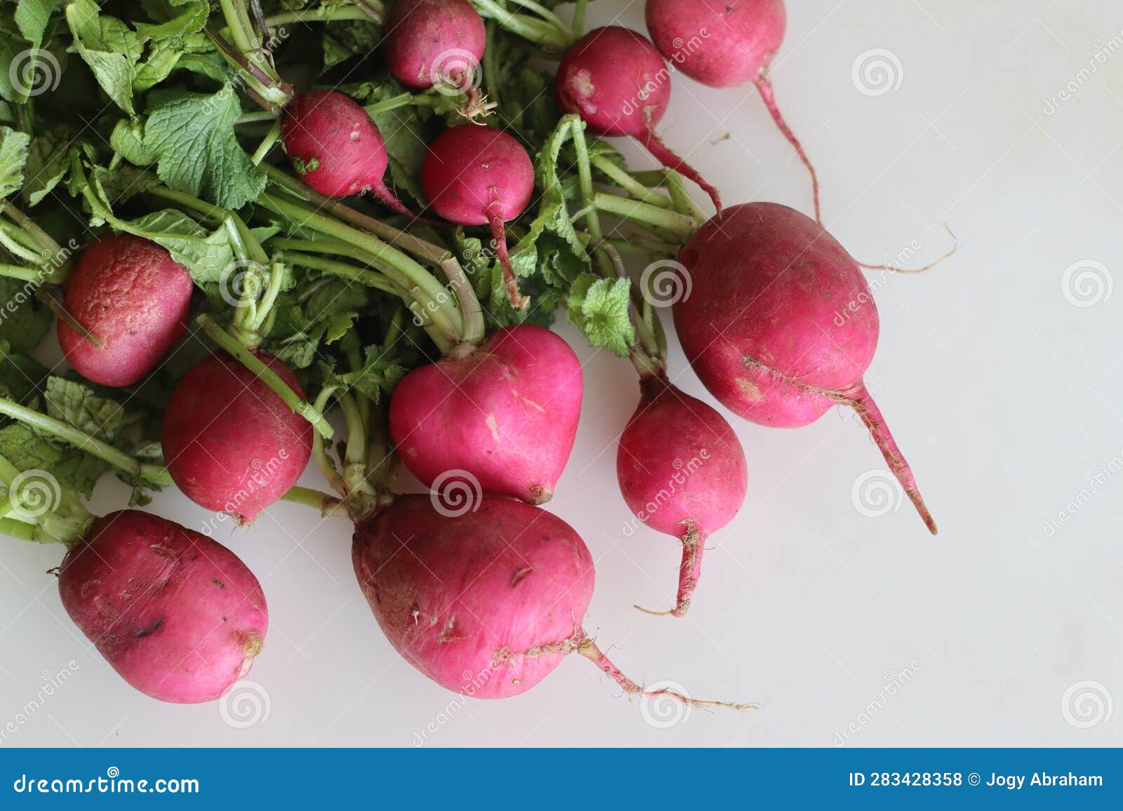 A Bunch of Red Radishes, Also Known As Table Radishes Stock Photo ...