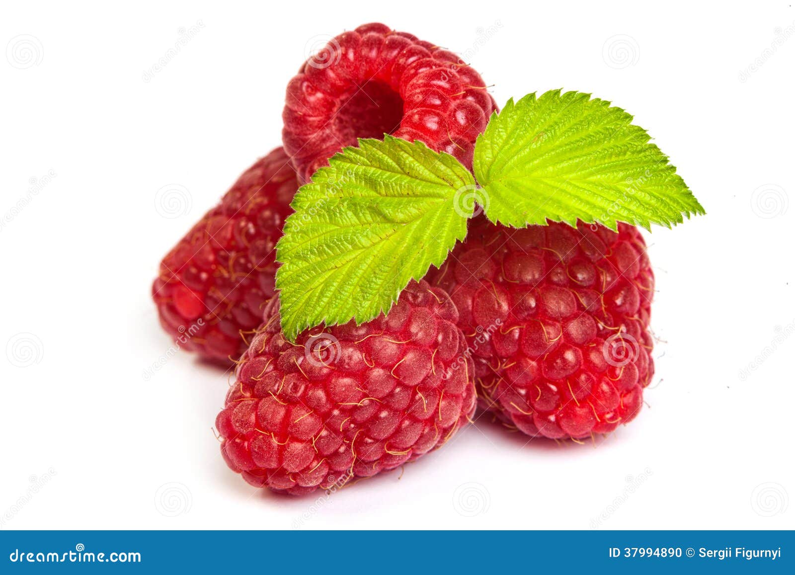 Bunch of a Red Raspberry on a White Background. Close Up Macro S Stock ...
