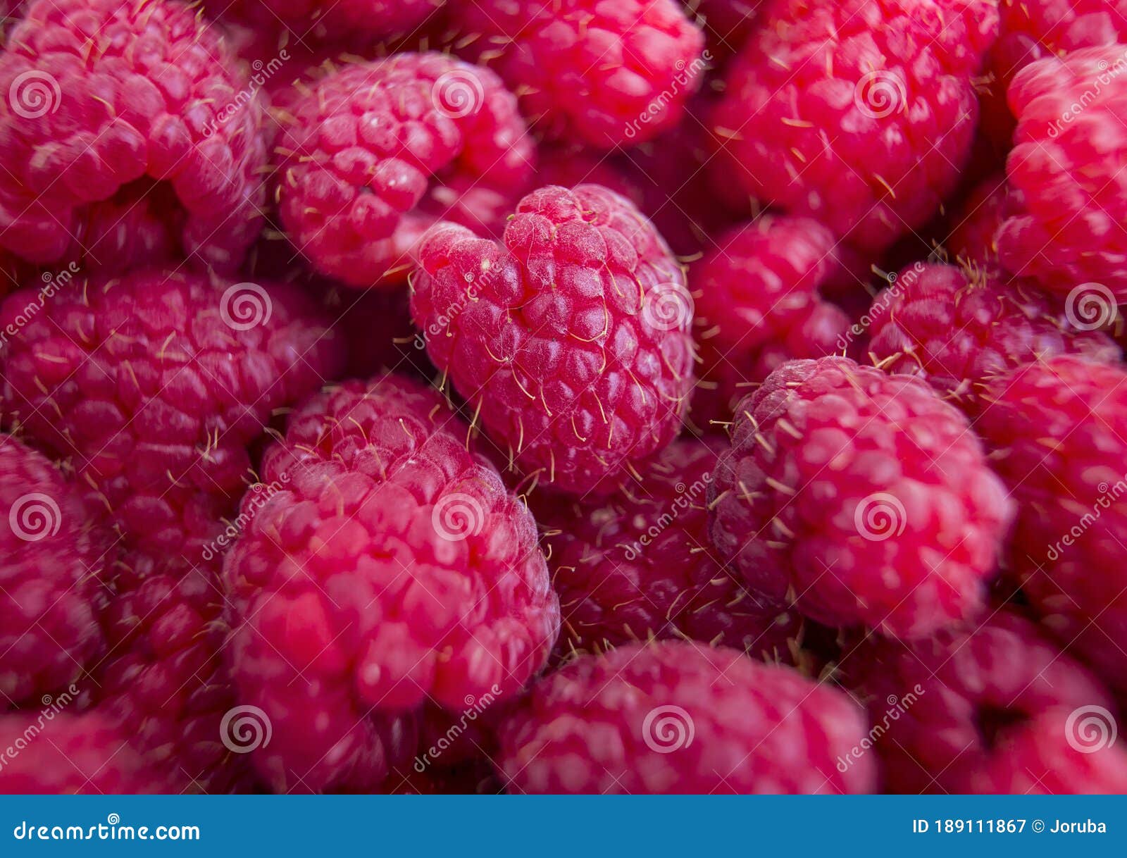 Bunch of ripe raspberry stock image. Image of healthy - 189111867
