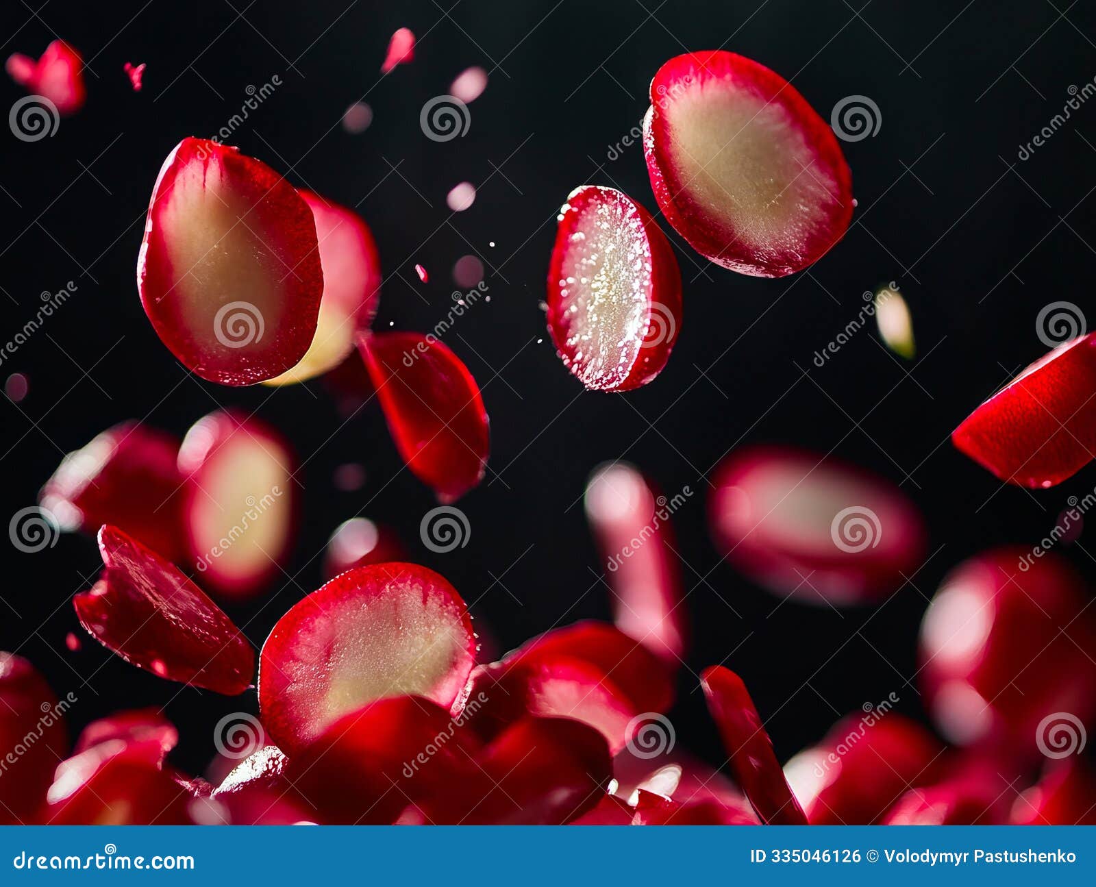 A Bunch of Red Rose Petals Falling into the Air Stock Photo - Image of ...
