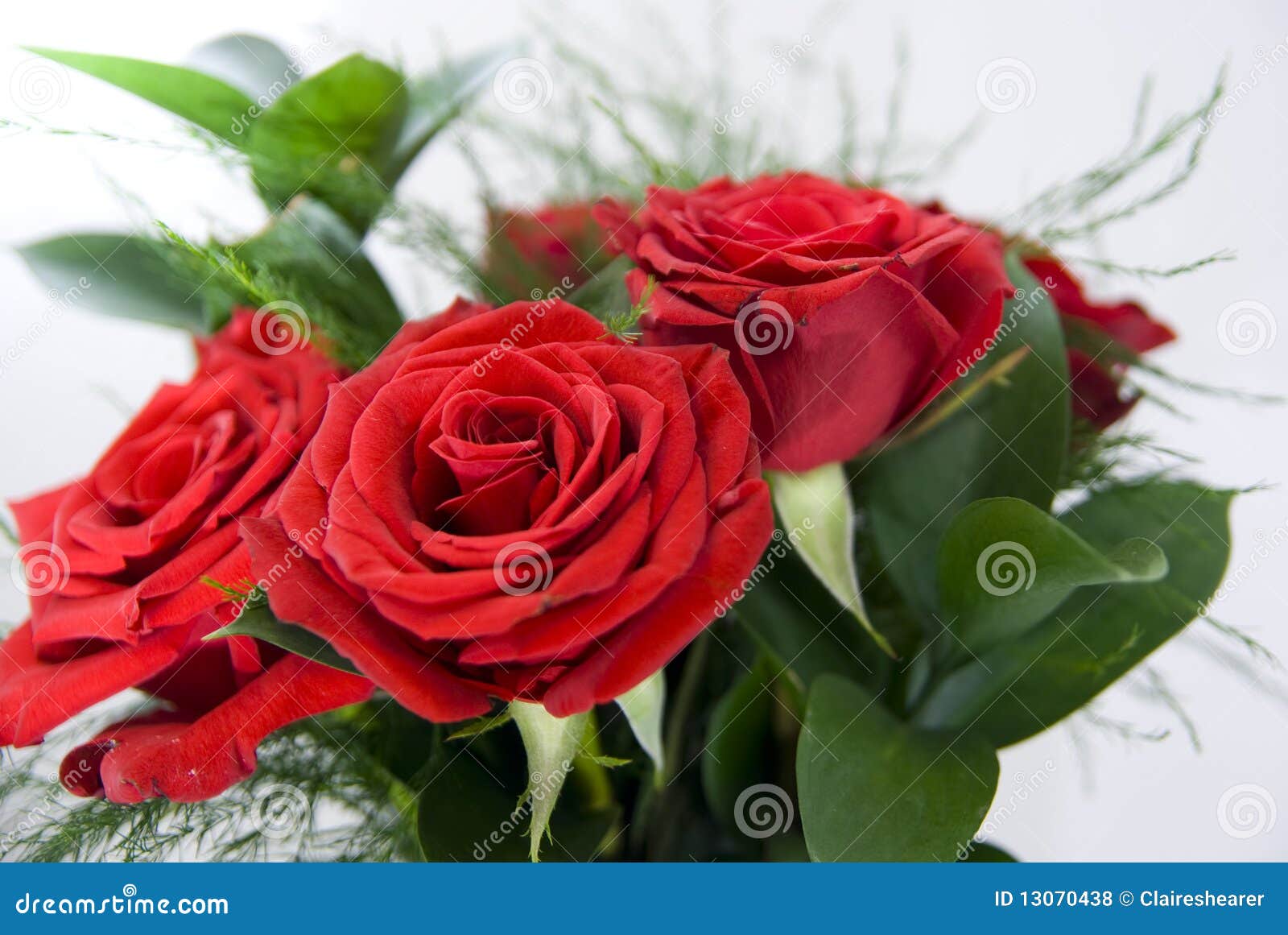Bunch of Red Roses stock photo. Image of pretty, macro - 13070438