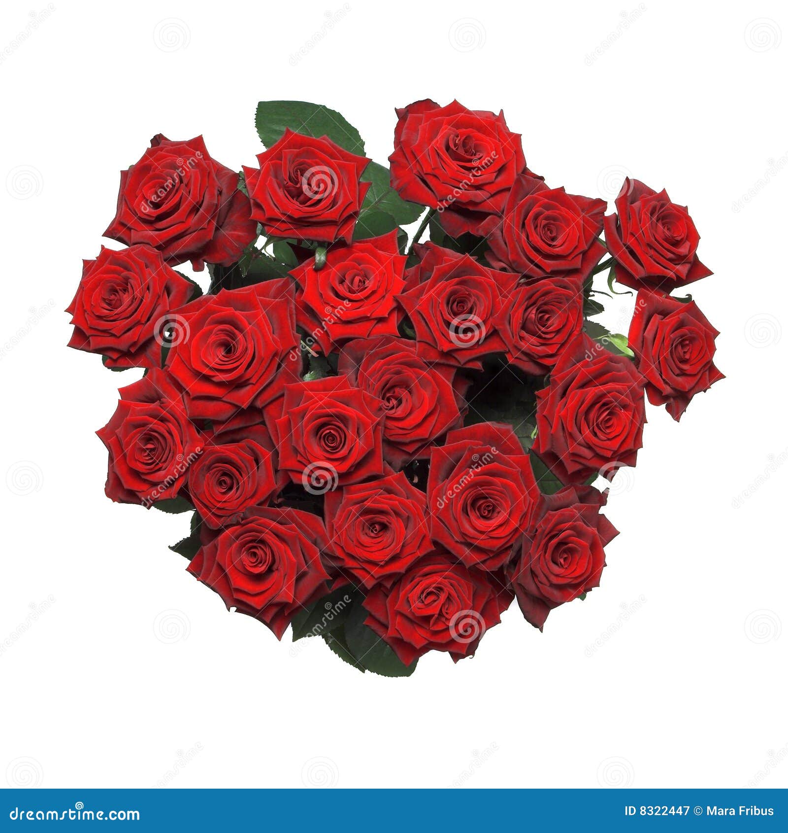 Bunch of red roses stock image. Image of bunch, bouquet - 8322447