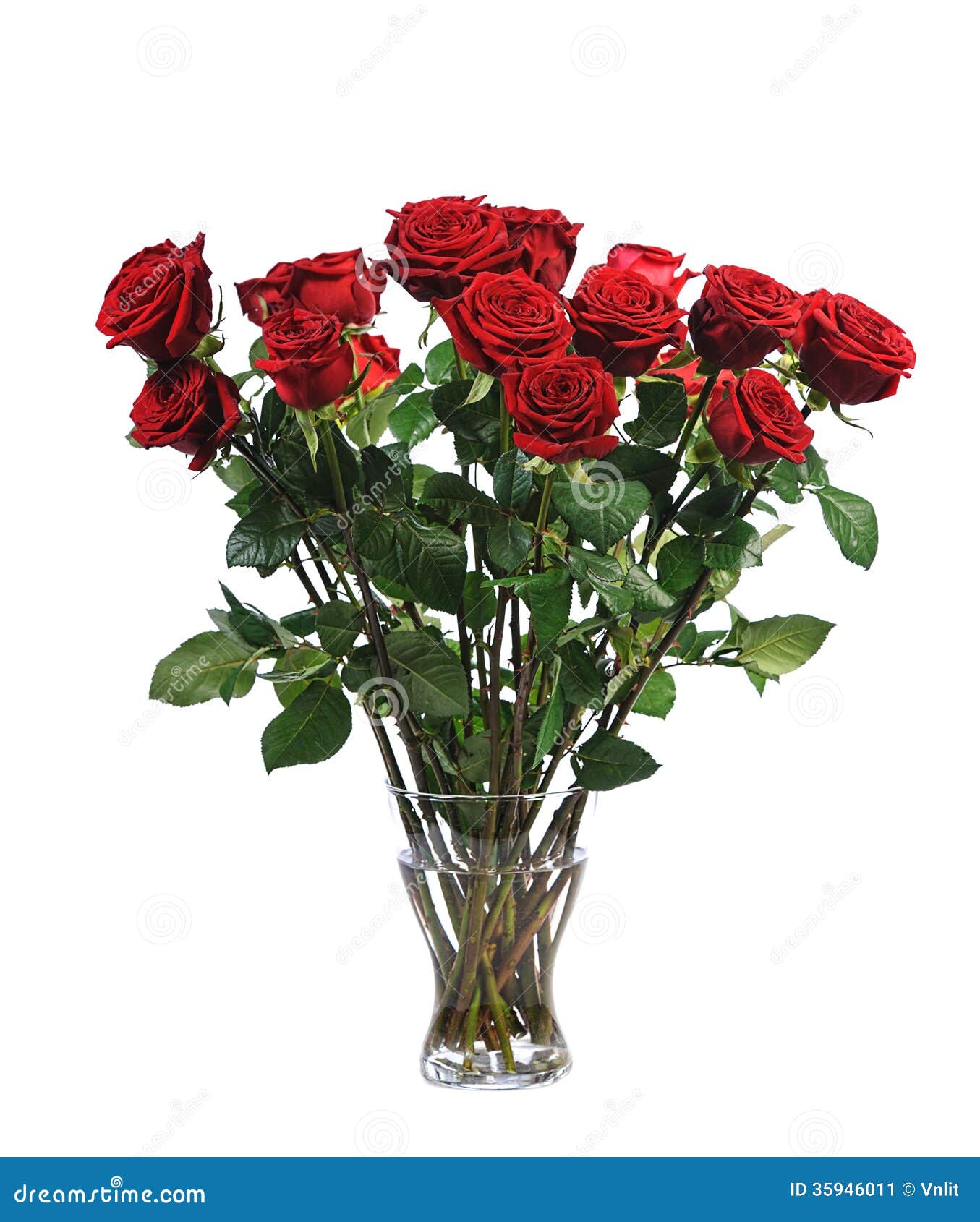 Bunch of red roses stock image. Image of copyspace, beautiful - 35946011