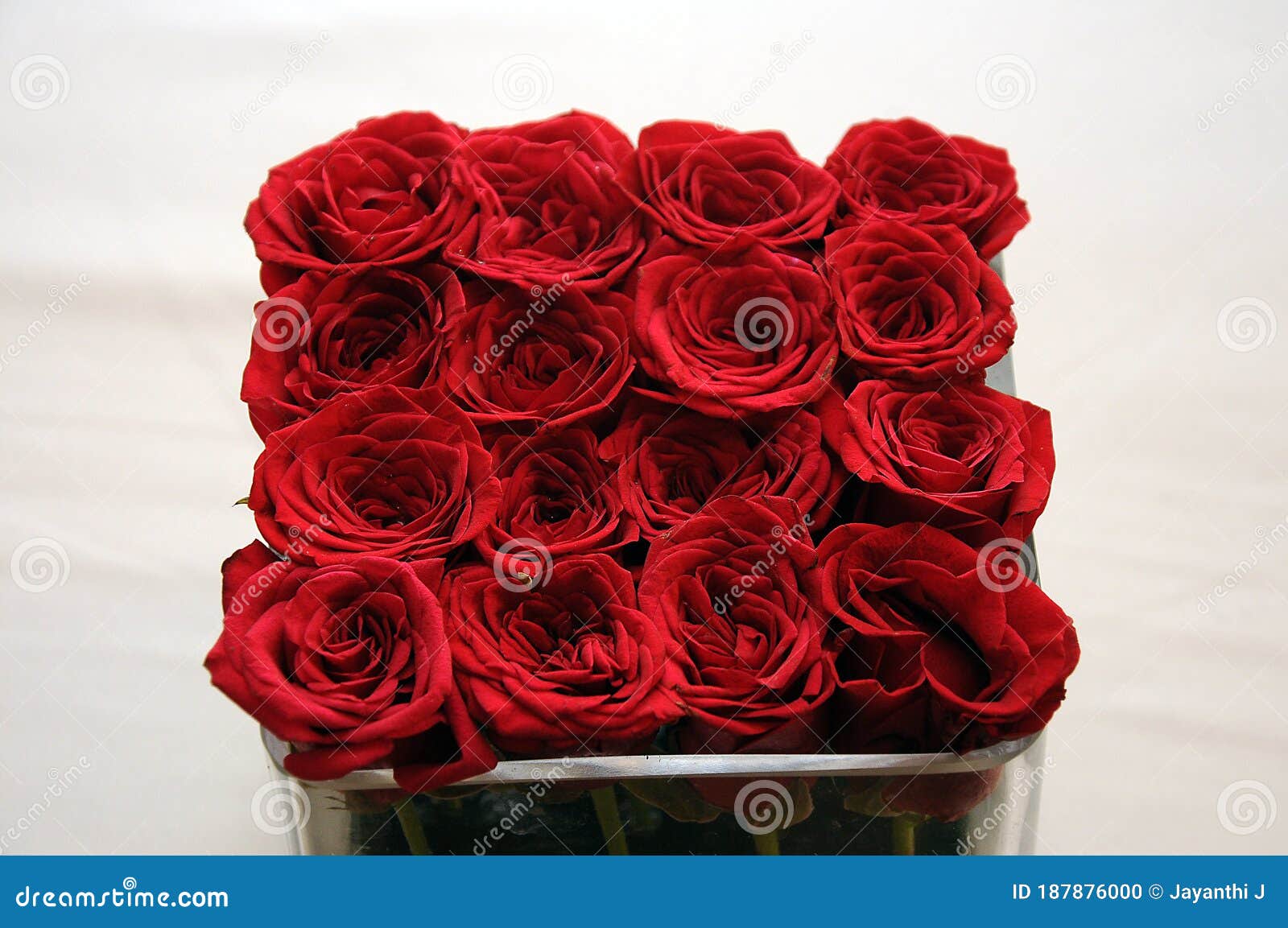 Bunch of red roses stock photo. Image of glass, color - 187876000