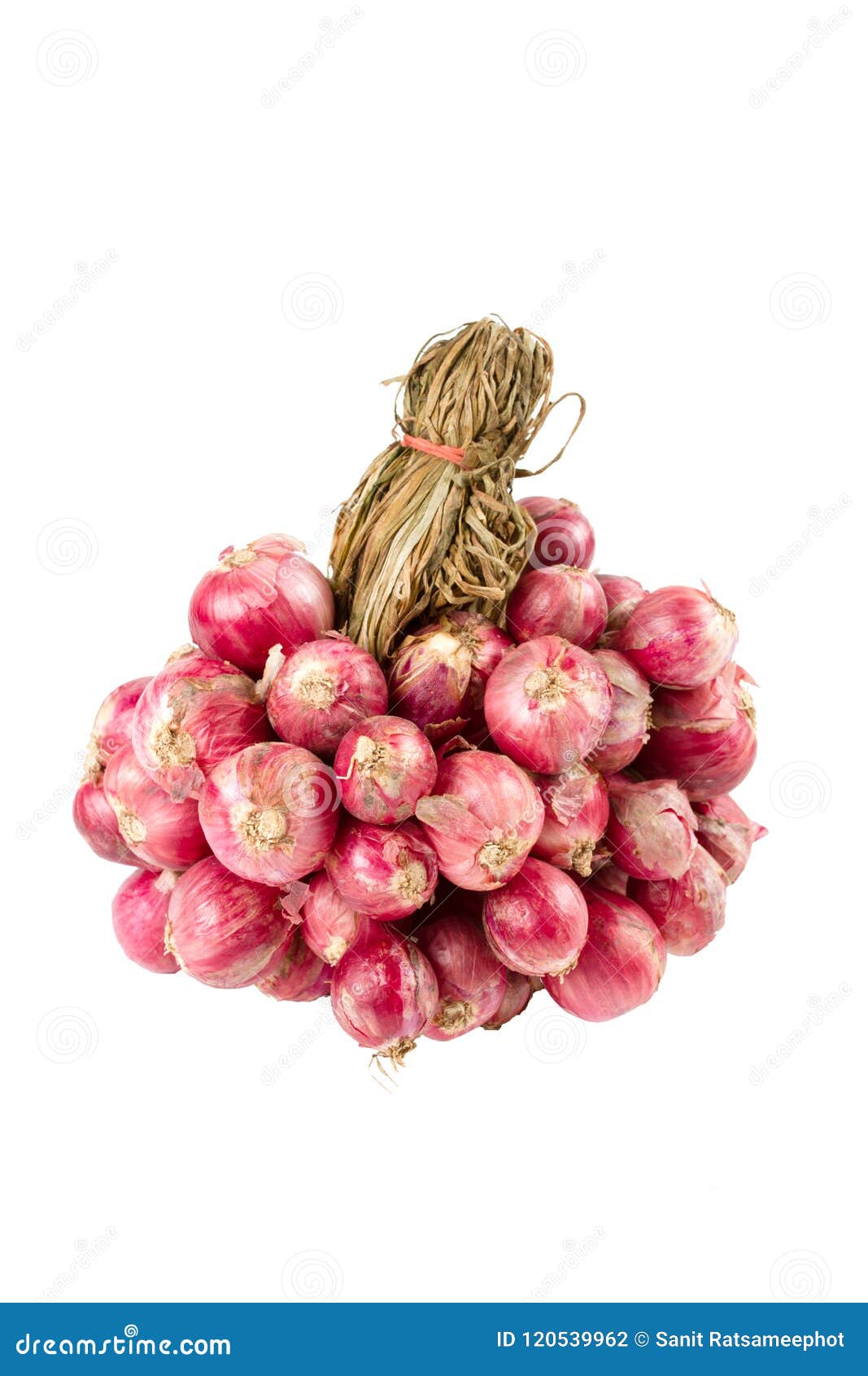 Bunch of Red Shallots Onions. Stock Photo - Image of cooking, flavor ...