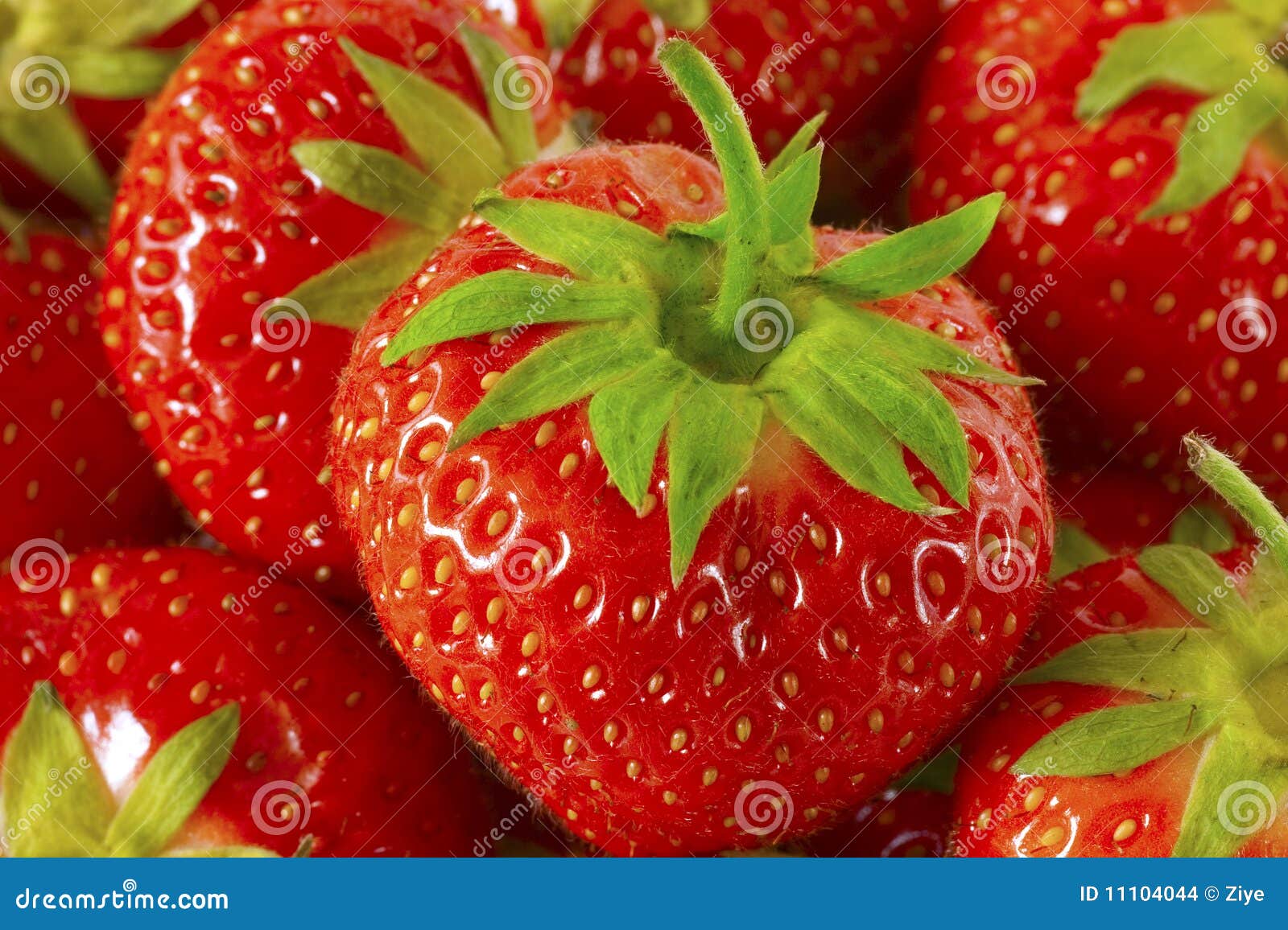 Bunch of Red Strawberries stock photo. Image of organic - 11104044