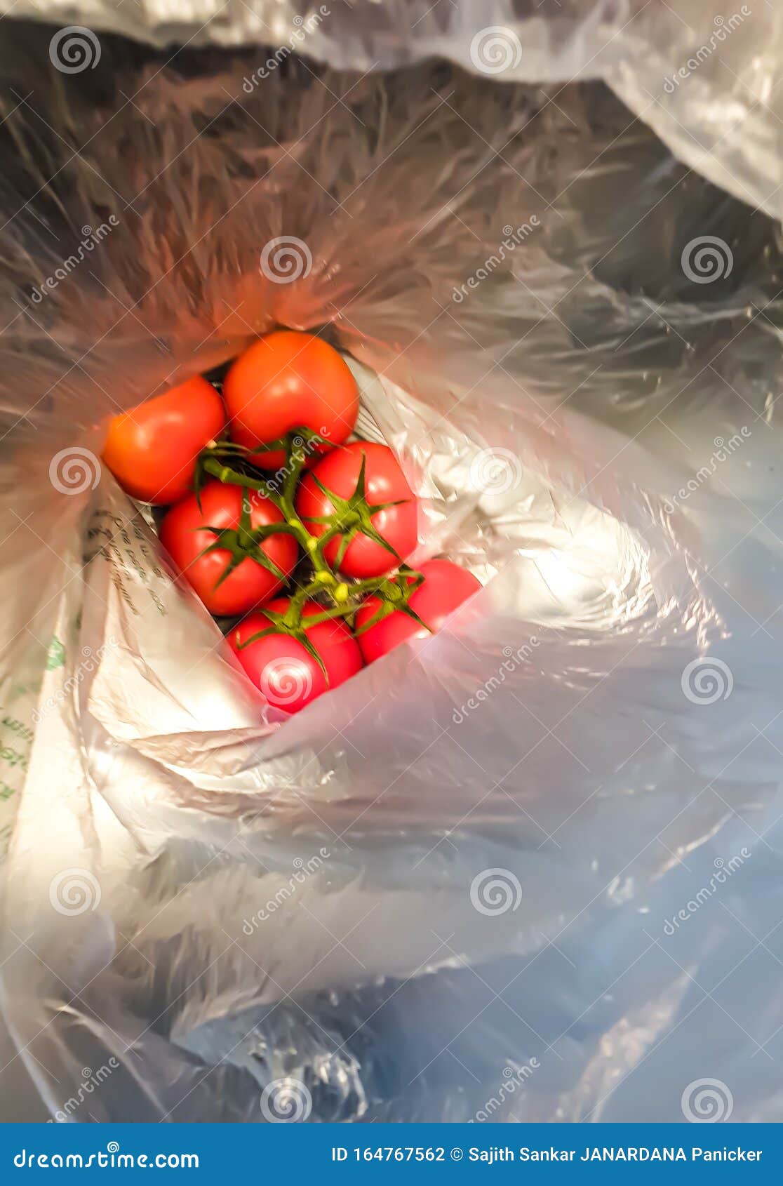 A Bunch of Red Tomatoes Packed in Plastic Stock Photo - Image of ...
