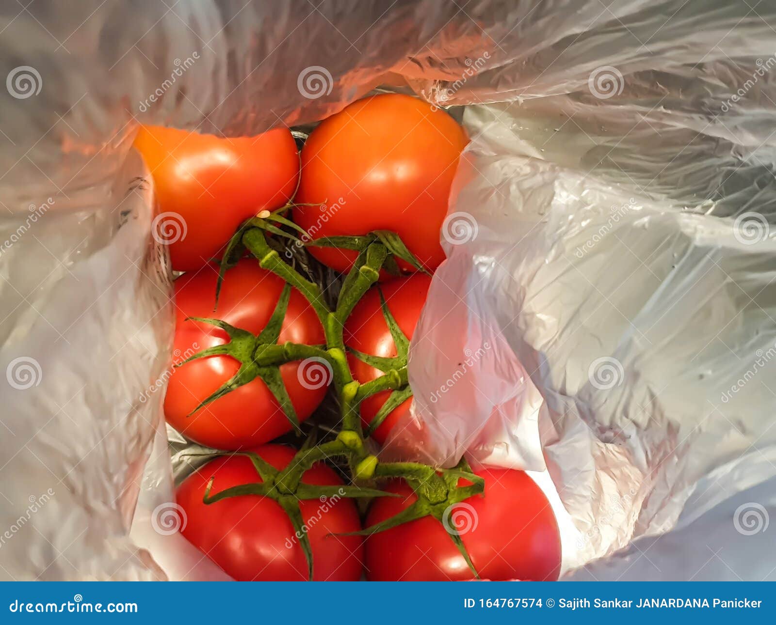 A Bunch of Red Tomatoes Packed in Plastic Stock Photo - Image of ...