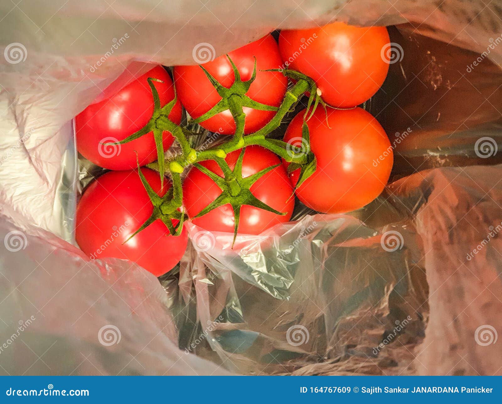 A Bunch of Red Tomatoes Packed in Plastic Stock Image - Image of ...