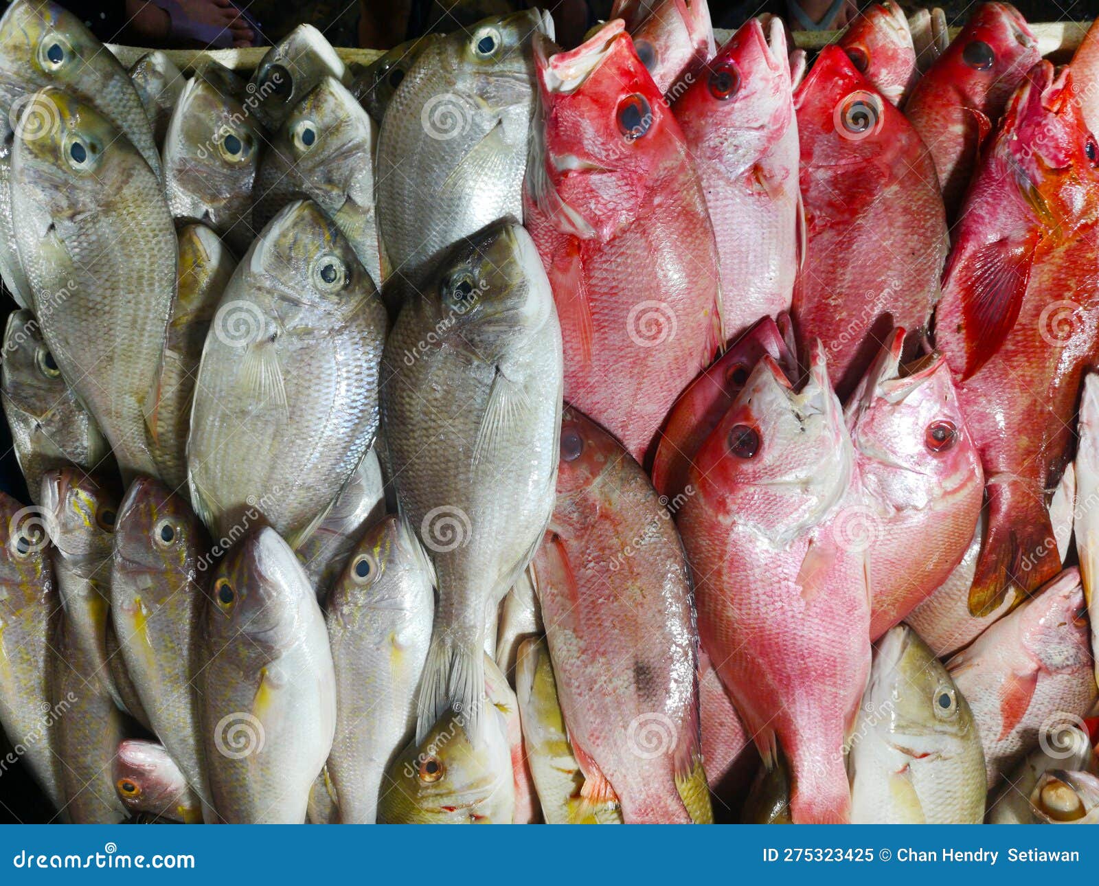 A Bunch of Fresh Red and White Snapper Stock Image - Image of market ...