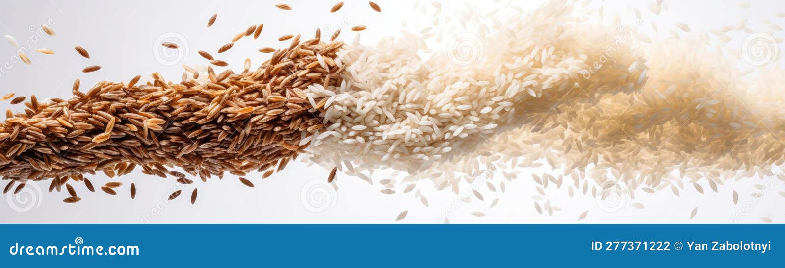 A Bunch of Rice Flying in the Airon White Background Wde Panoramic ...