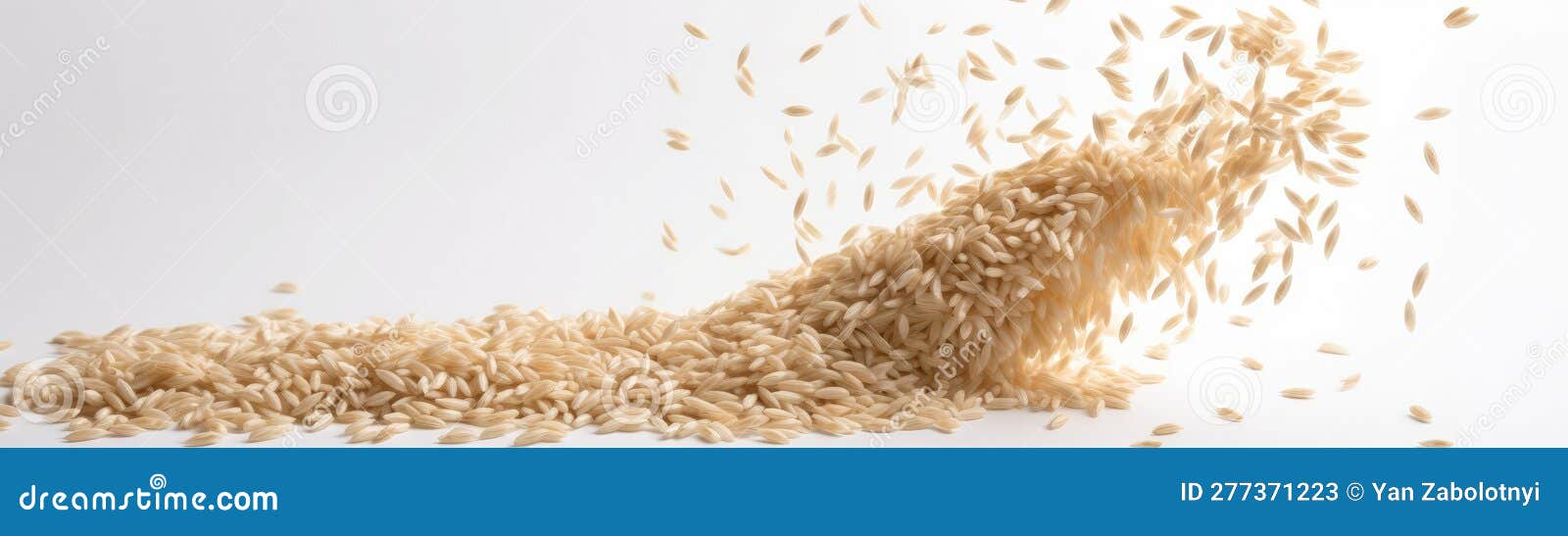 A Bunch of Rice Flying in the Airon White Background Wde Panoramic ...