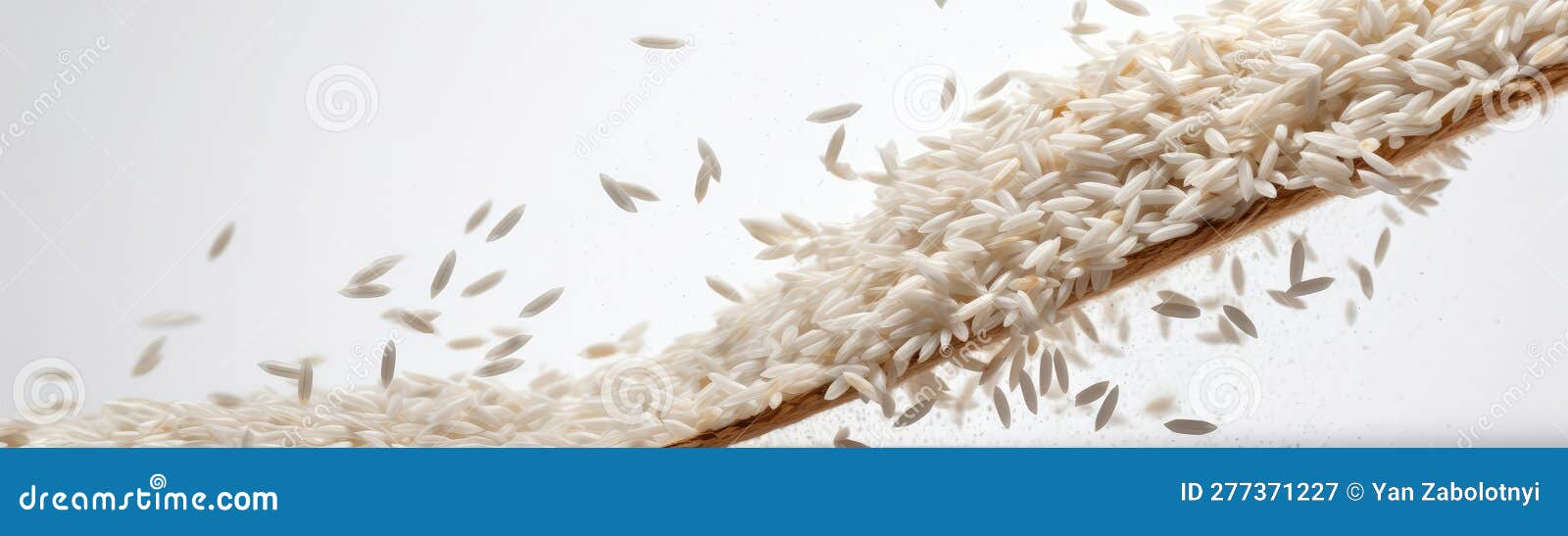 A Bunch of Rice Flying in the Airon White Background Wde Panoramic ...