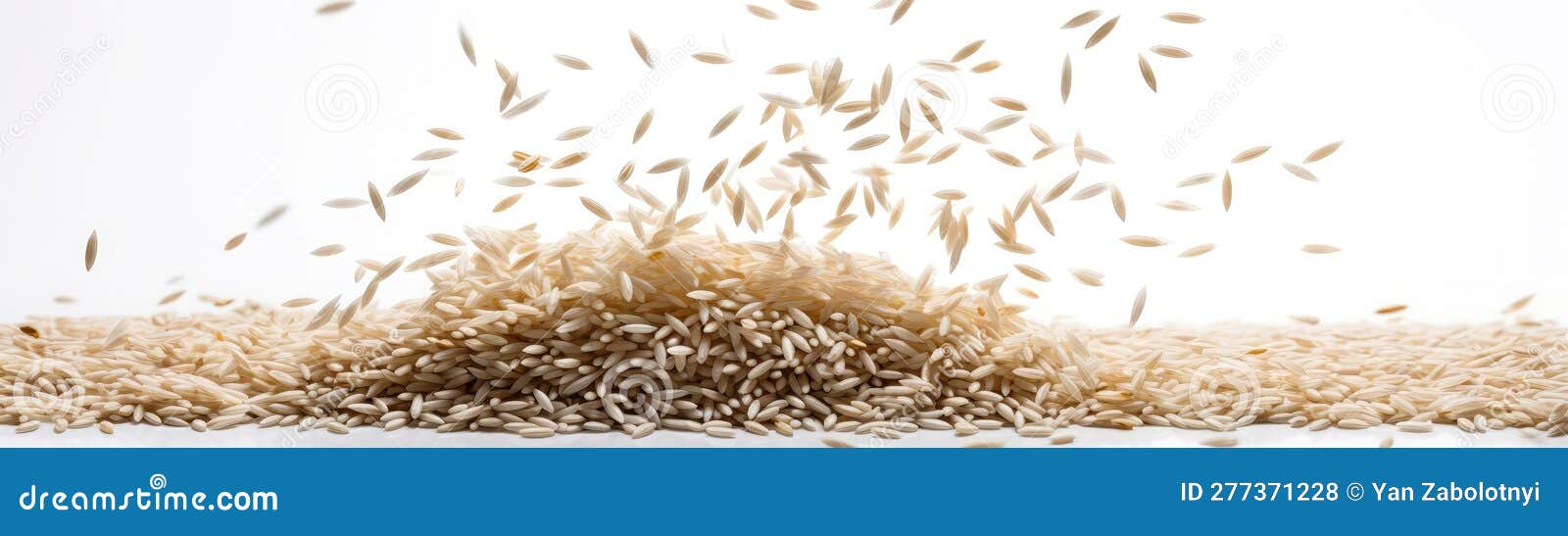 A Bunch Of Rice Flying In The Airon White Background Wde Panoramic ...